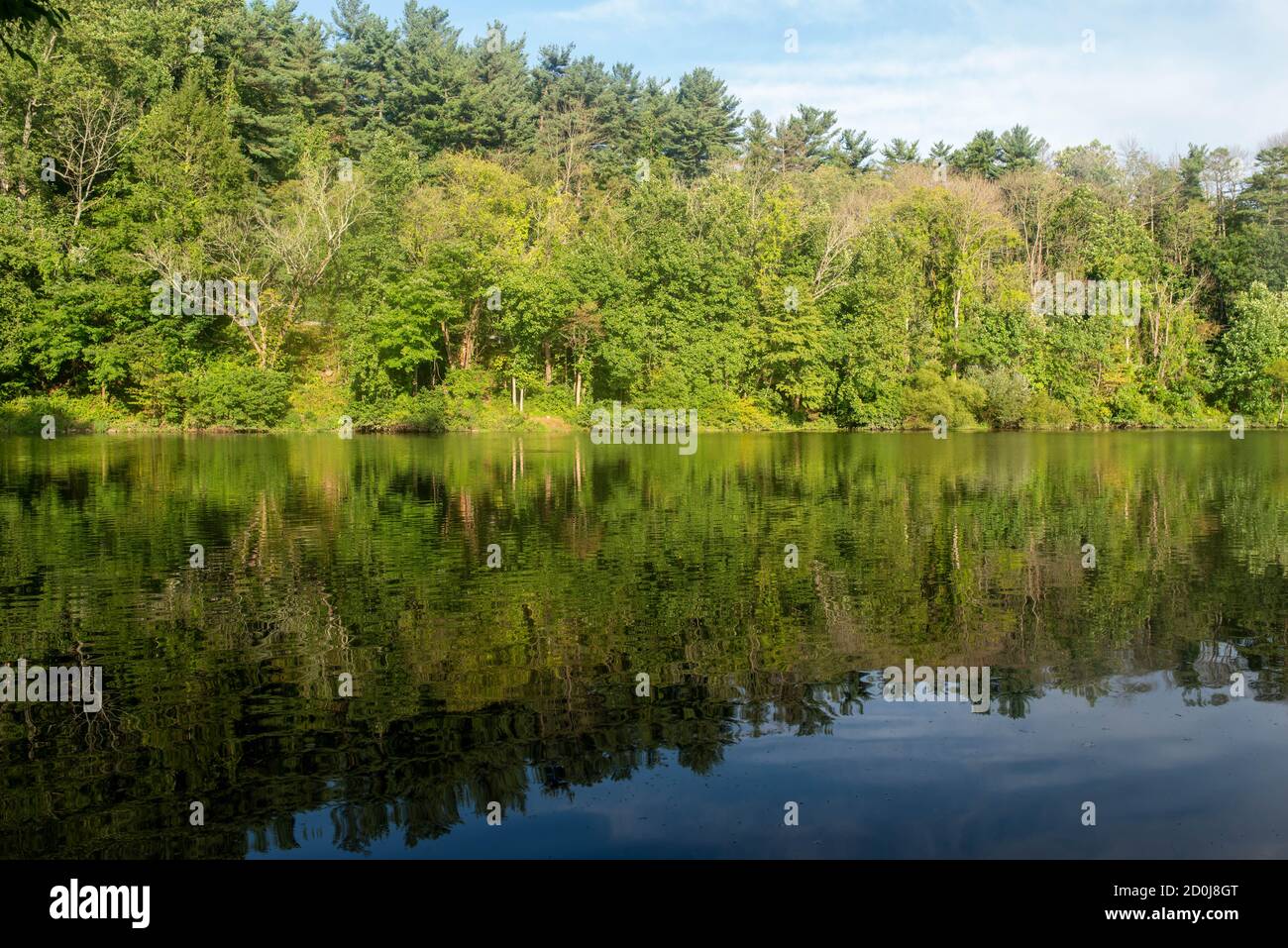 Symmetric reflection in a forest lake and blue sky Stock Photo - Alamy