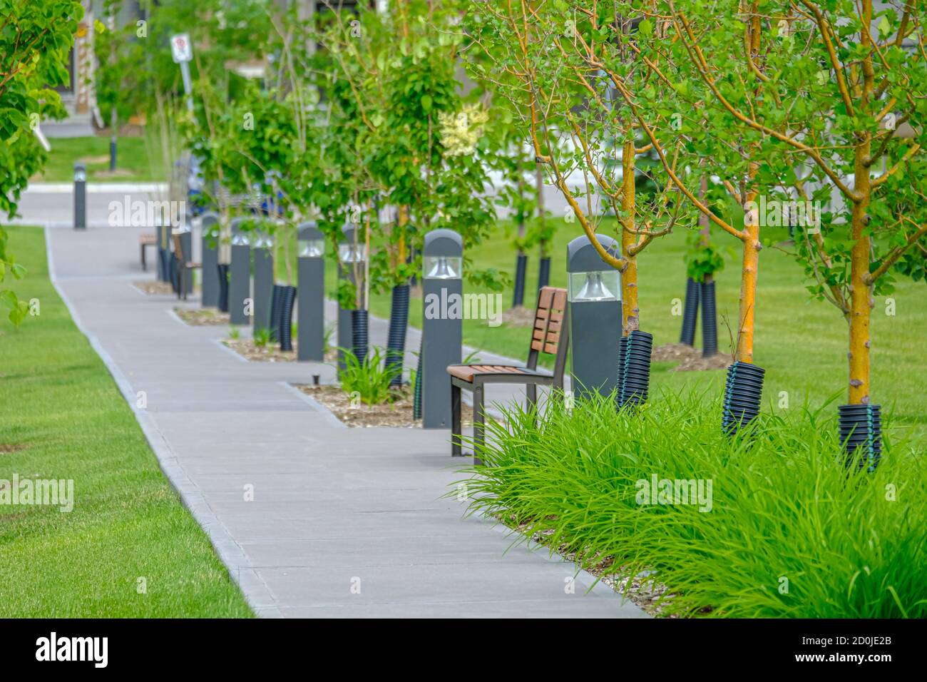 Park bench in a residental park Stock Photo - Alamy