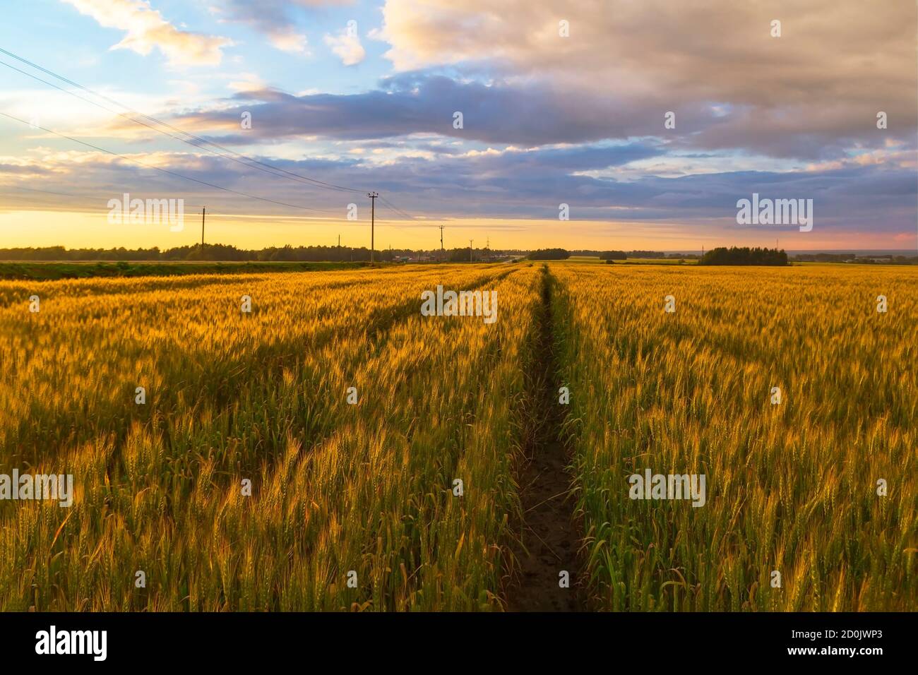 The huge cloud lit yellow-orange rays of sunset Stock Photo - Alamy