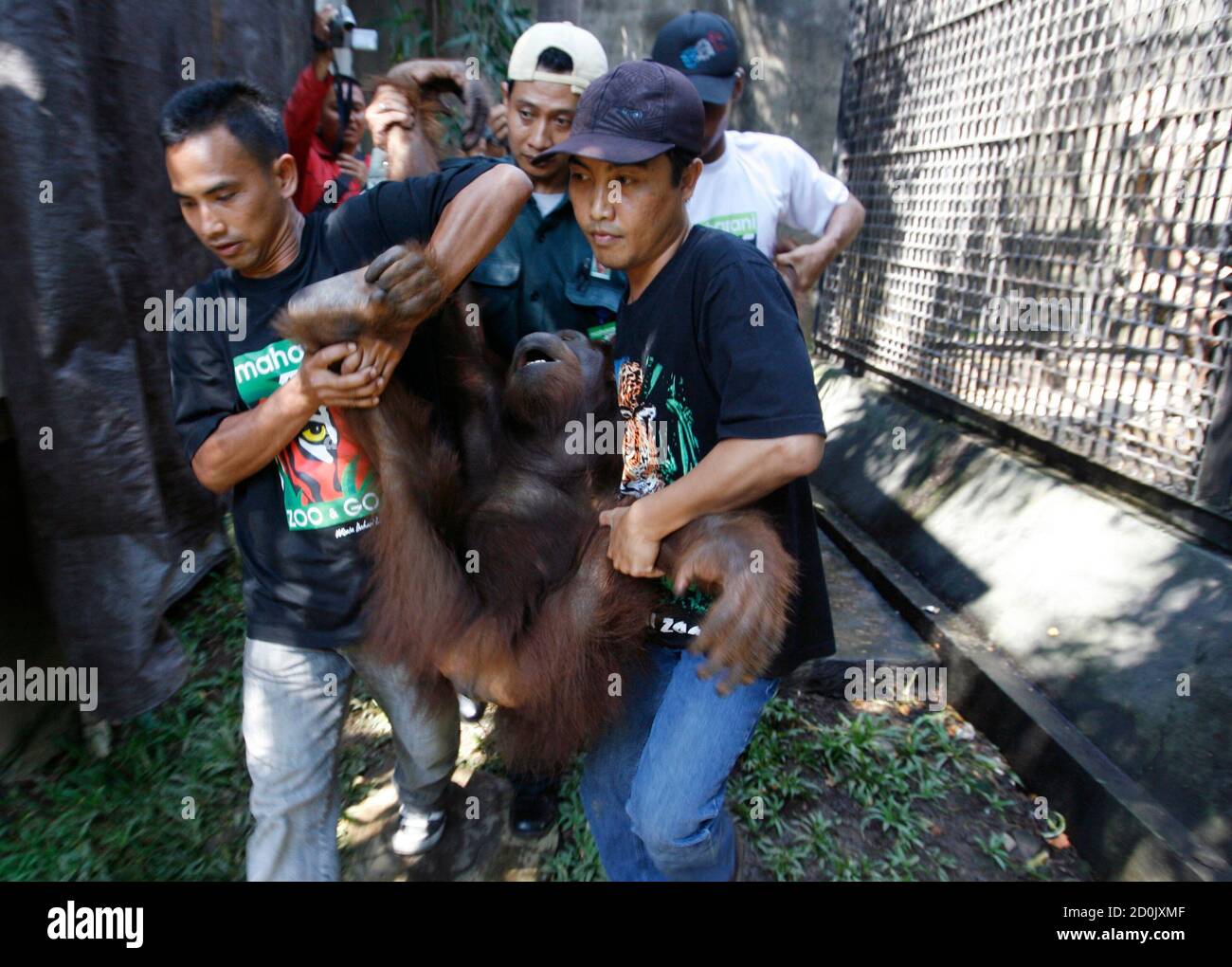 Java wildlife hi-res stock photography and images - Alamy