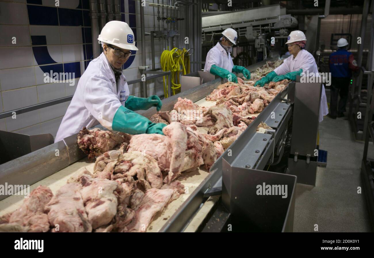 Beef burgers factory hi-res stock photography and images - Alamy