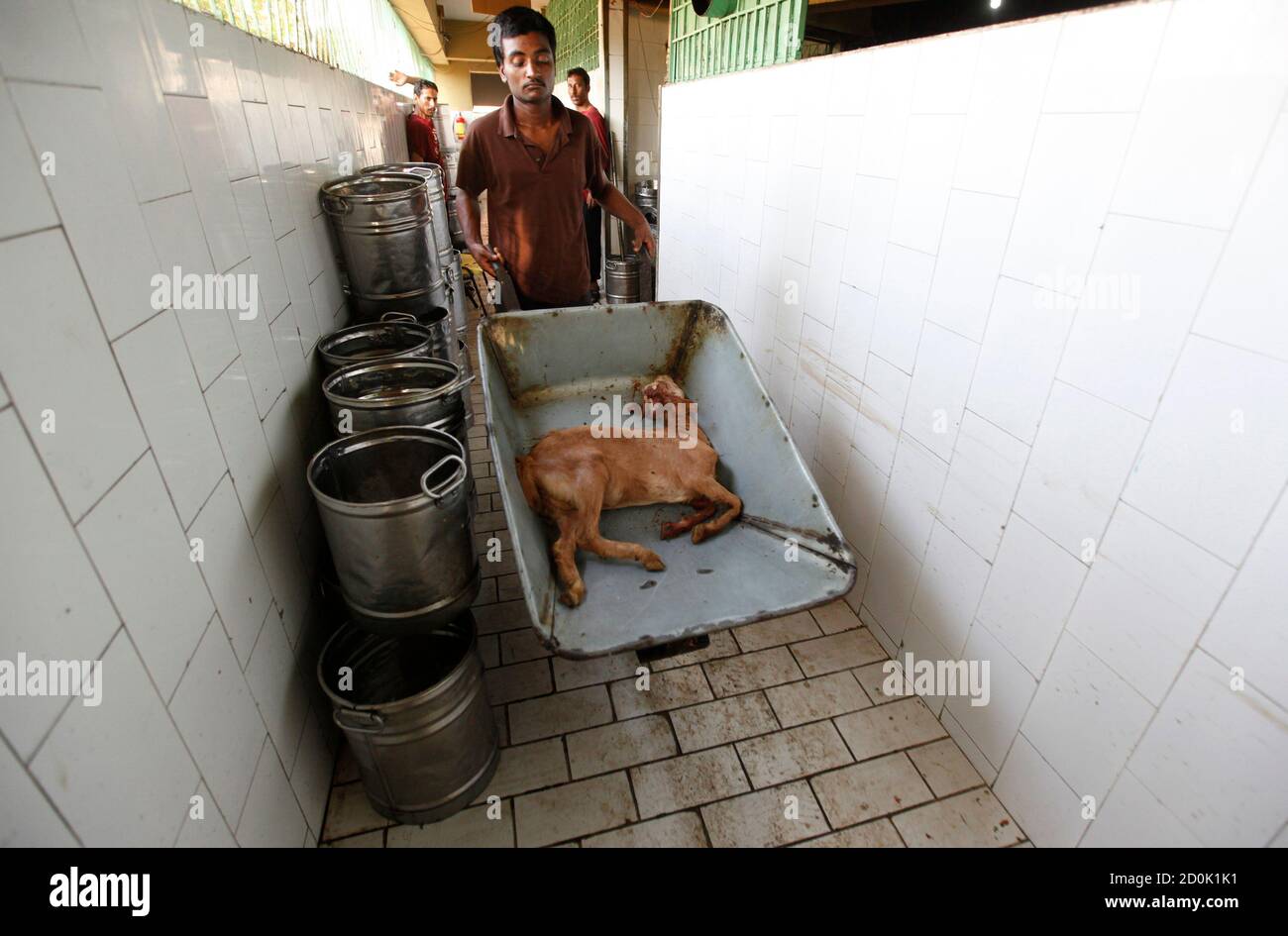 Slaughtered goat hi-res stock photography and images - Alamy
