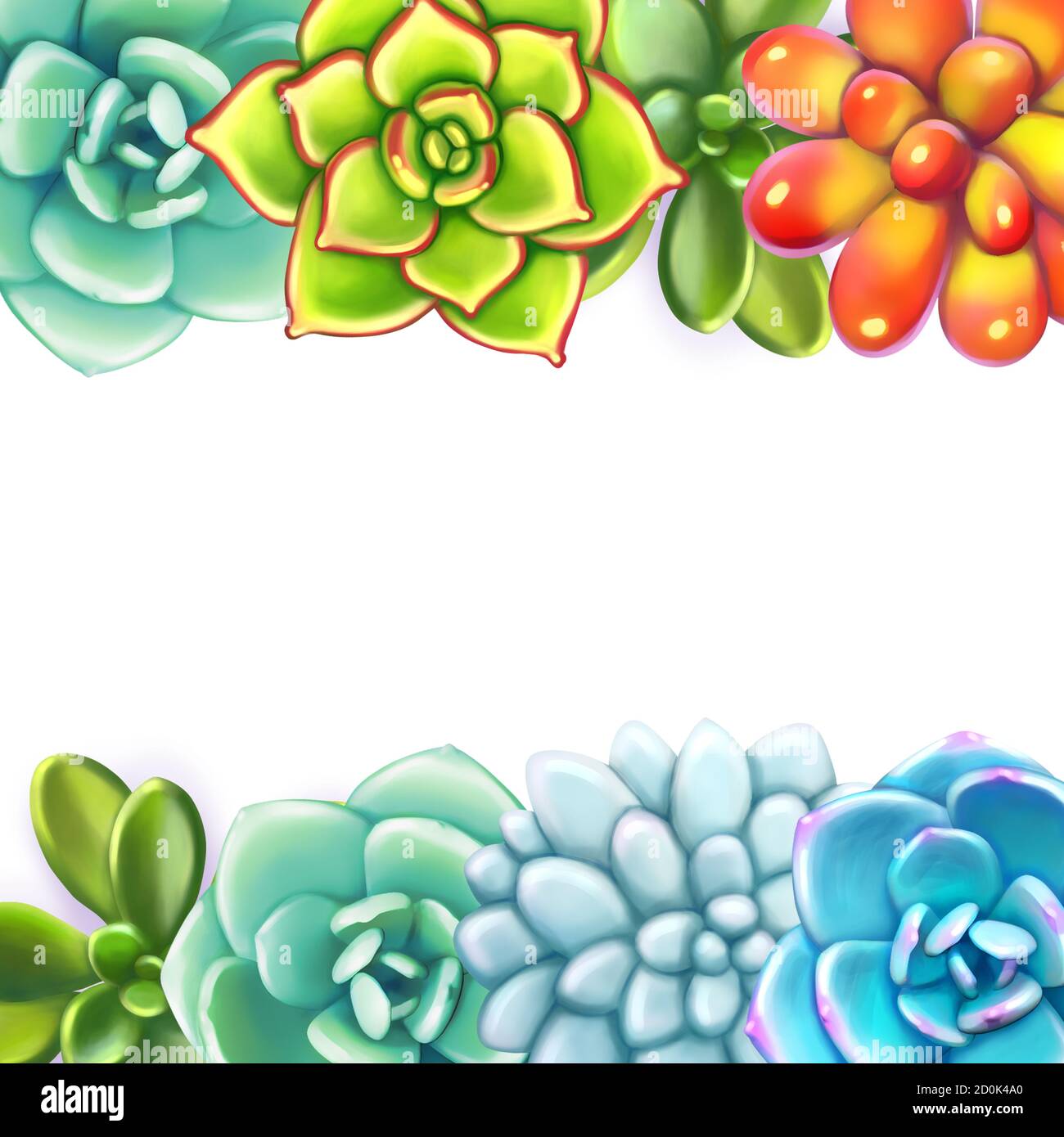 Floral Border. Succulents arranged un a shape of frame Stock Photo - Alamy