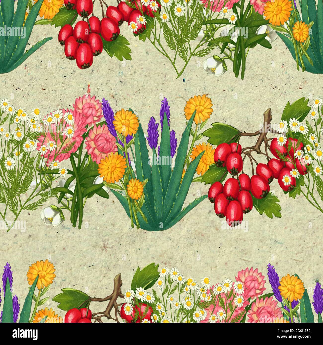 Hand drawn medicinal plant seamless pattern. Healing herbs drawing on ...