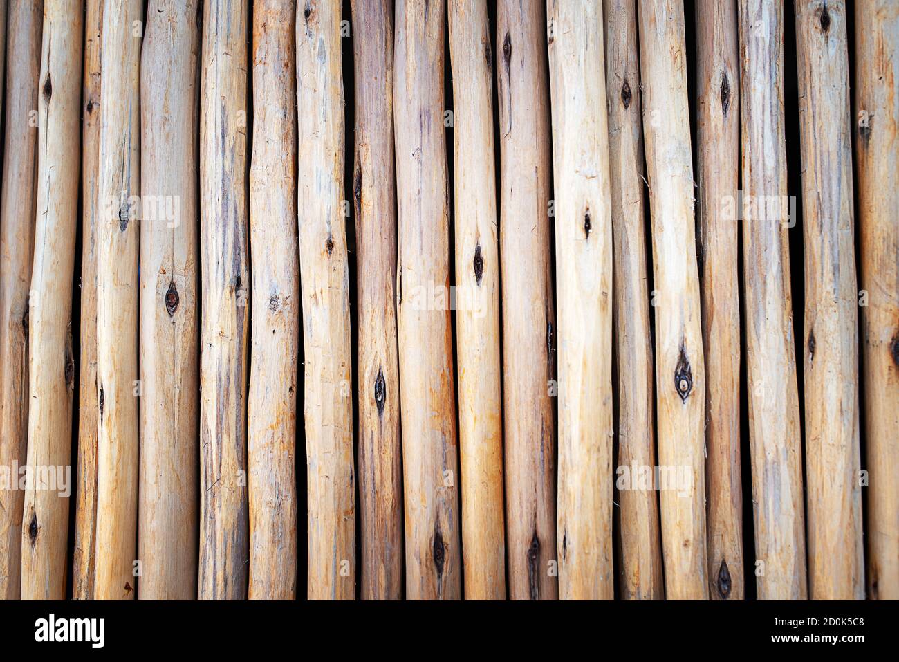 Bamboo fence background. Wall of bamboo. Rural rustic texture ...
