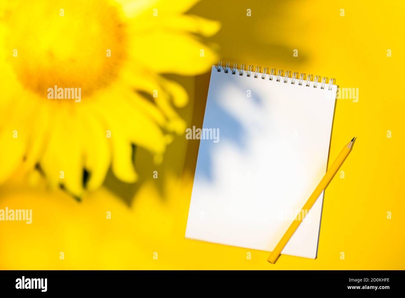 Empty head hi-res stock photography and images - Alamy