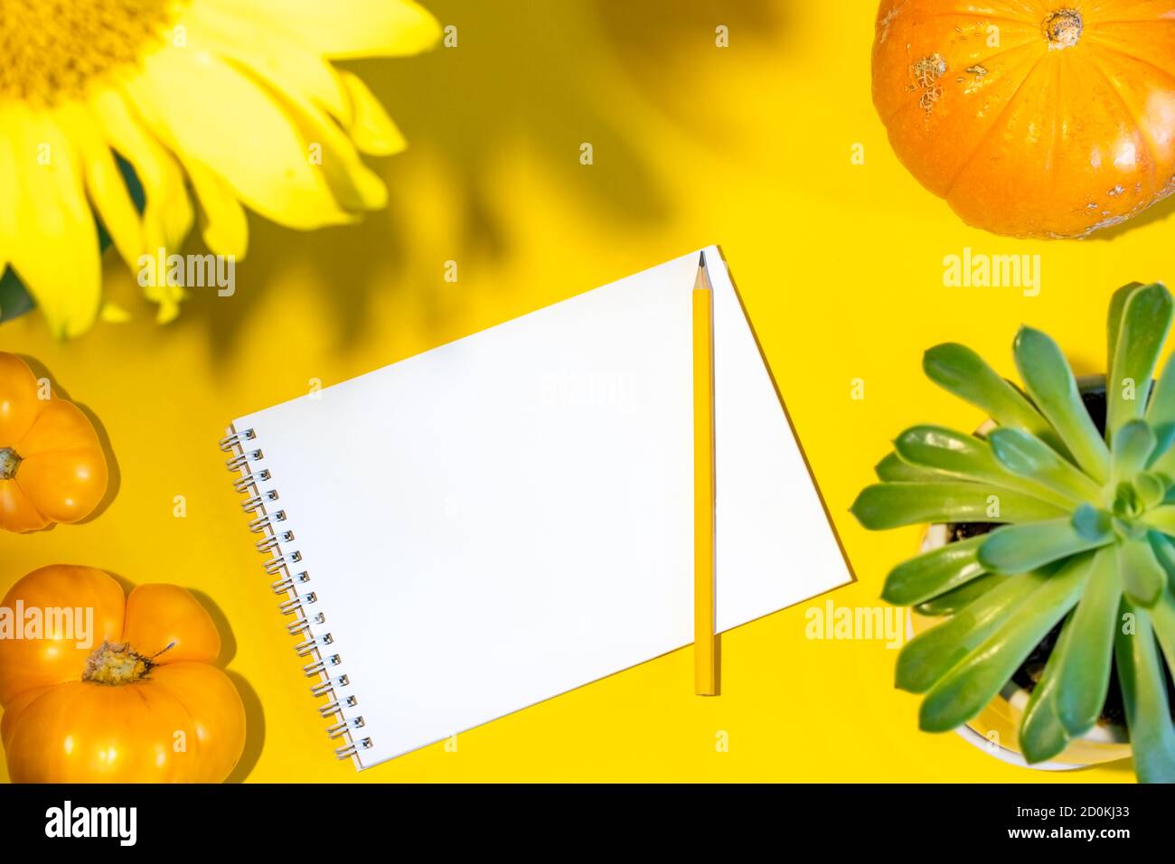 Empty white notepad, vegetables and flowers - sunflower and succulent ...