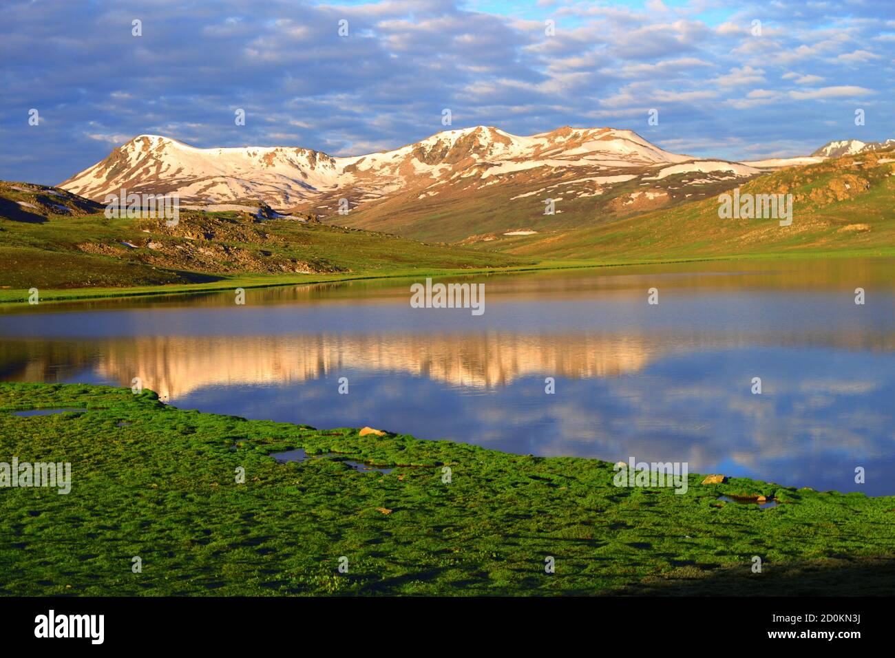 Sheosar Lake is a lake situated in Deosai National Park, in Gilgit ...