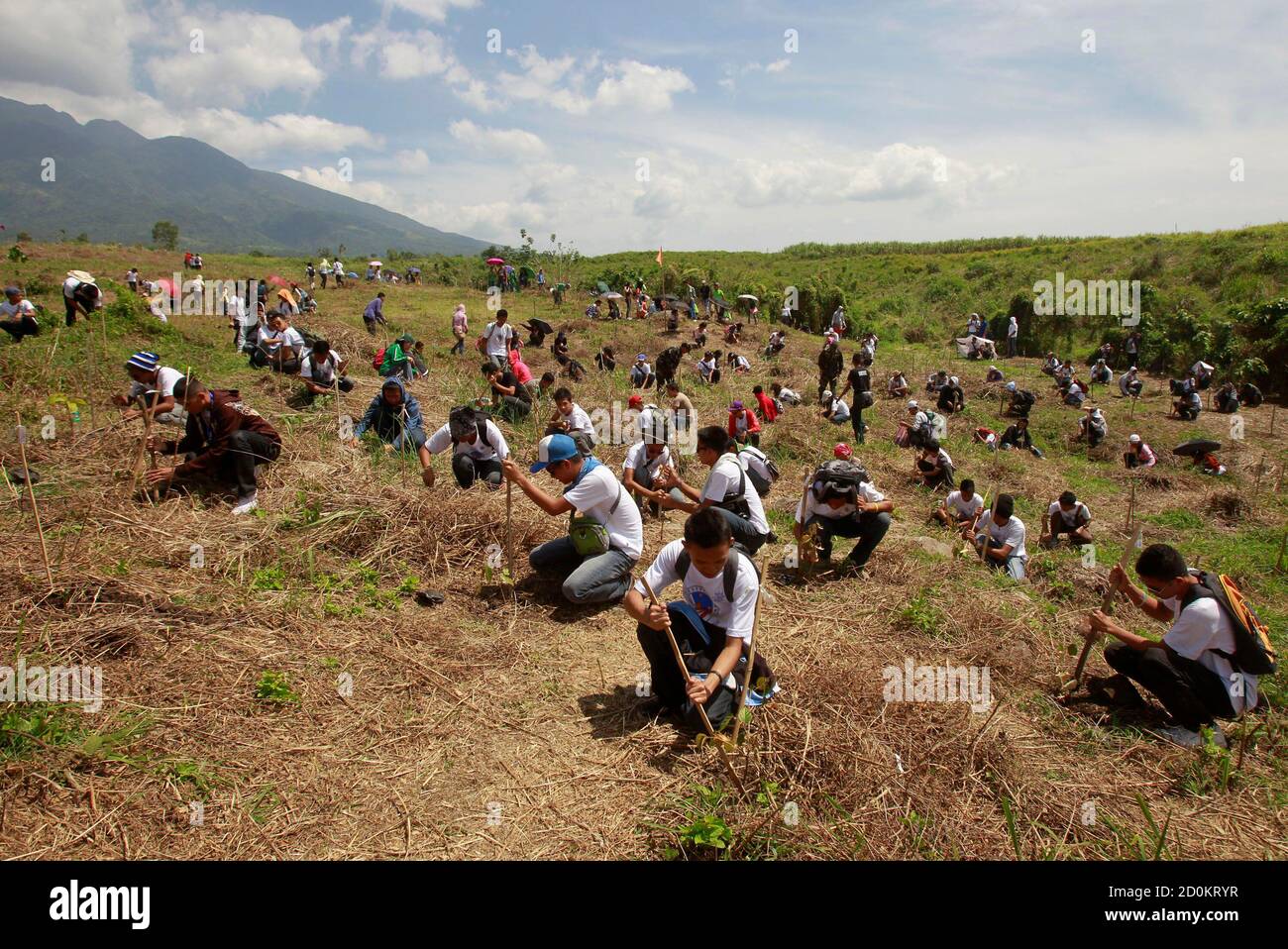Student tree planting activity hi-res stock photography and images - Alamy
