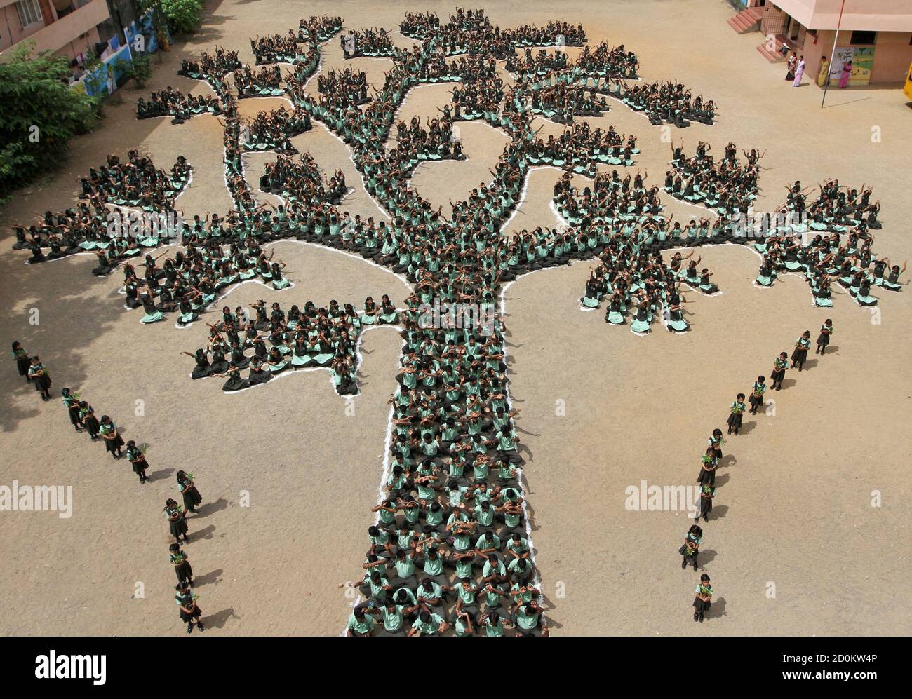 Save trees hi-res stock photography and images - Alamy