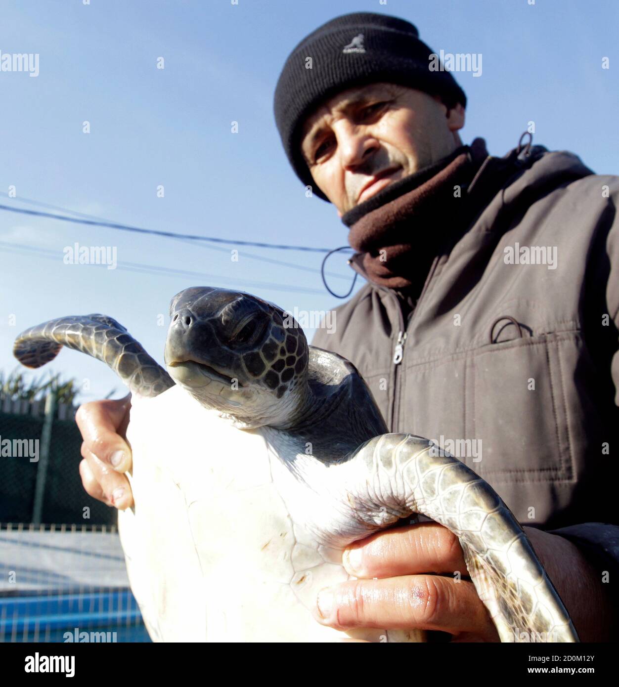 Richard turtle hi-res stock photography and images - Alamy