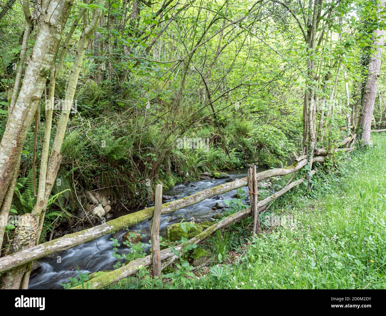 Plant Of River Meadows High Resolution Stock Photography and Images - Alamy
