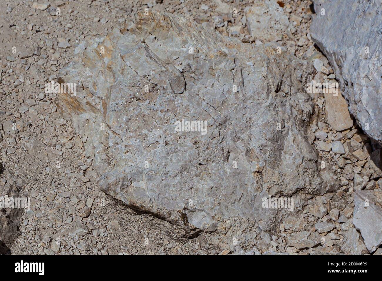 Fragment of a Triassic coral reef with remains of algae, Settsass ...