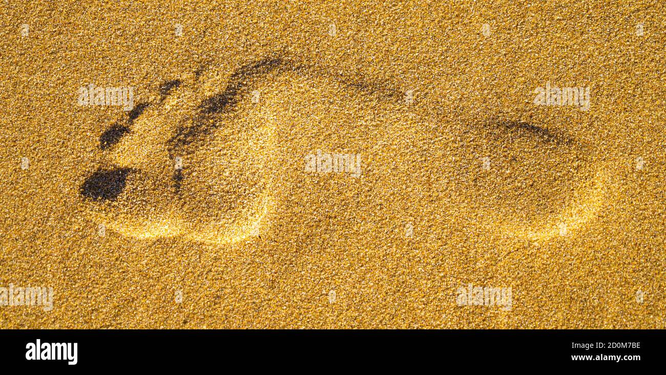 footprint in the Sand texture for background layer image Stock Photo ...