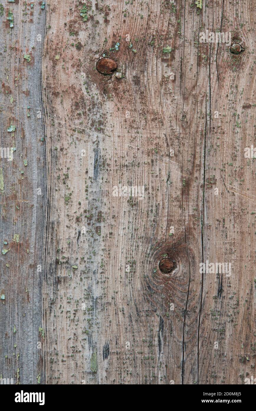 Texture of the wooden door, background Stock Photo - Alamy