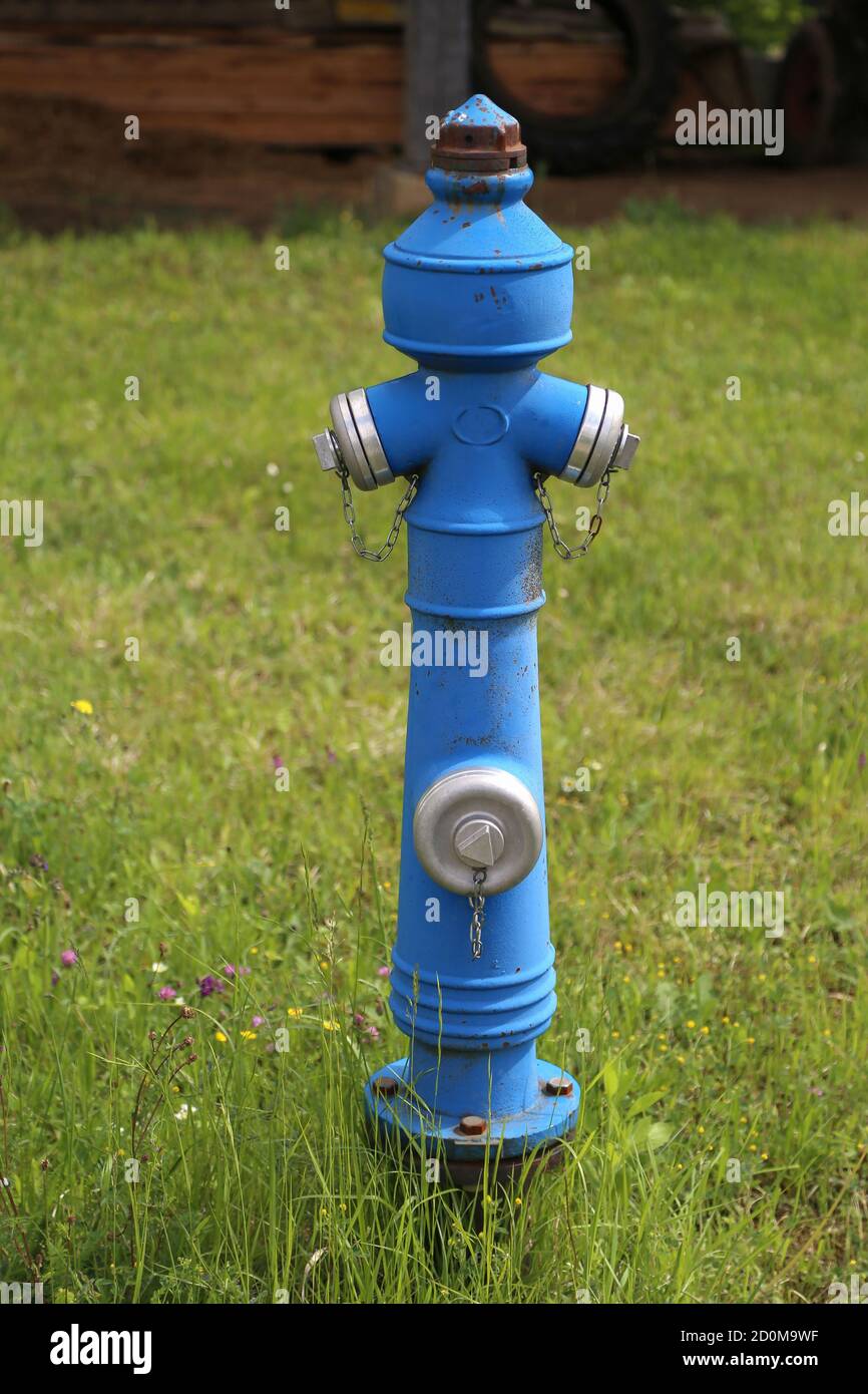 Vertical shot of a blue fire hydrant on the green lawn Stock Photo - Alamy