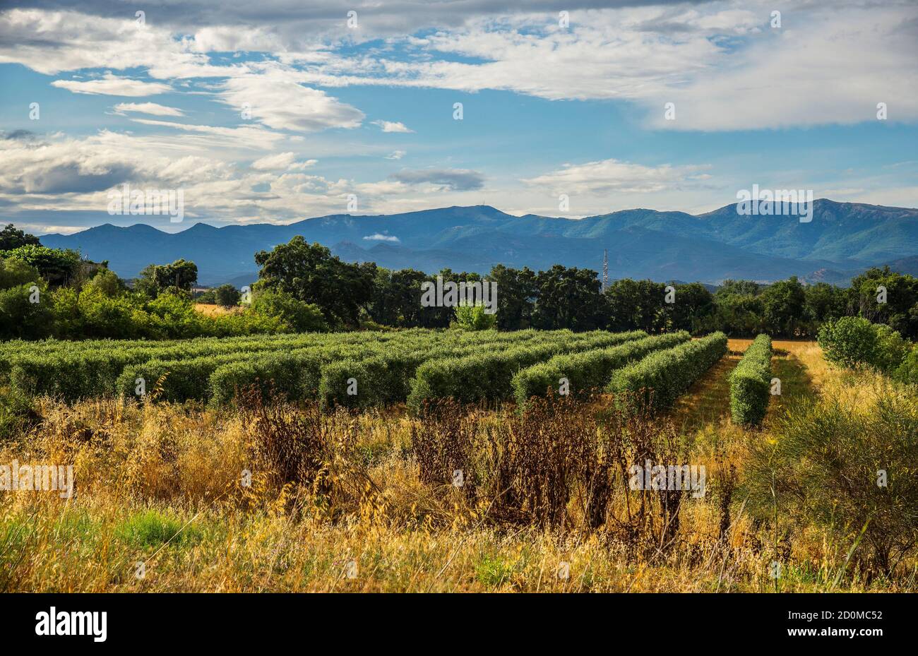 Landscape in Spain Stock Photo - Alamy