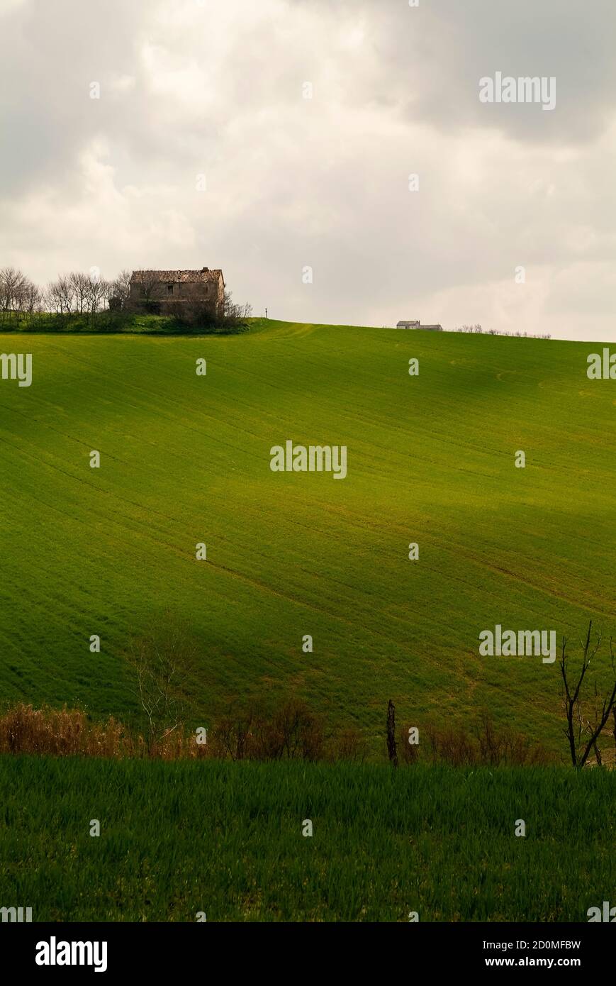 Wheat field and old house hi-res stock photography and images - Alamy