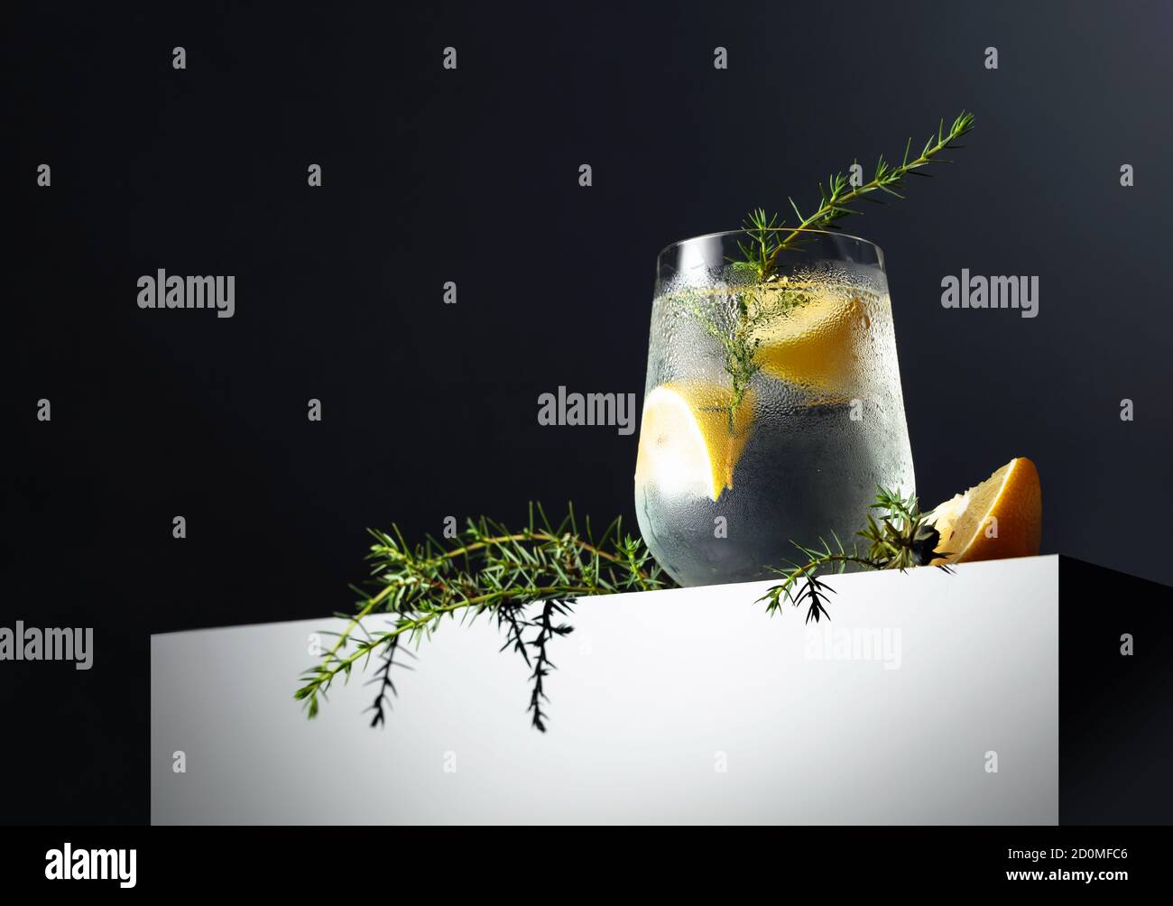 Alcohol drink (gin tonic cocktail) with lemon, juniper branch, and ice ...