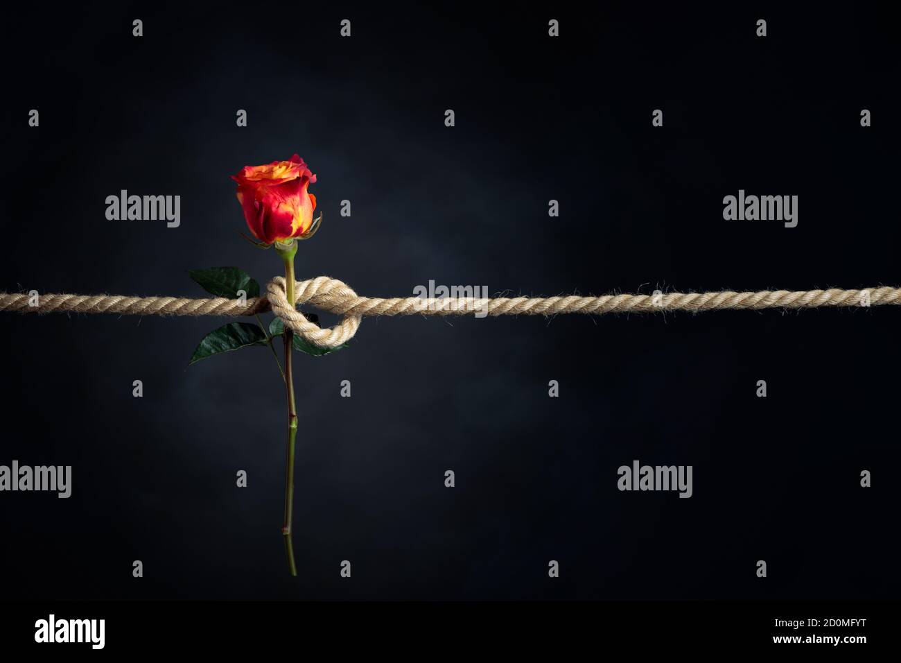 Hostage and rope hi-res stock photography and images - Alamy