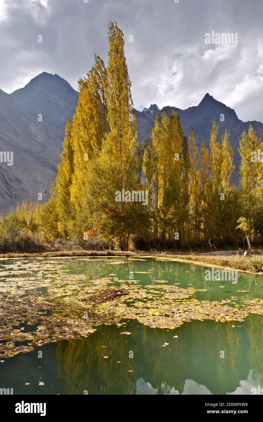 beautiful small lake in shigar in autumn , gilgit baltistan Pakistan ...