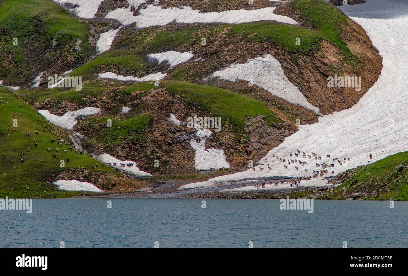 Dudipatsar Lake, also known as Dudipat Lake, is a lake encircled by ...