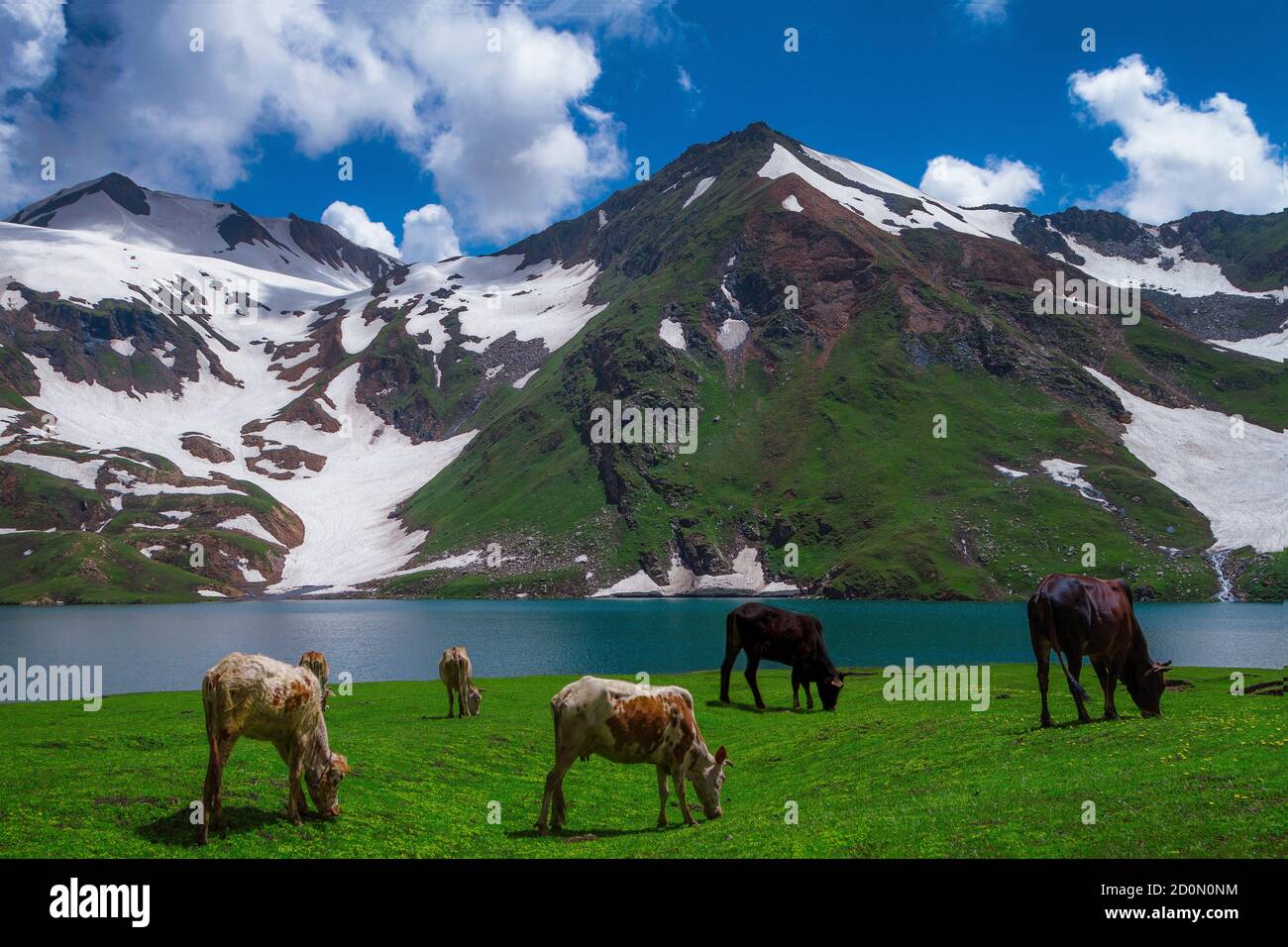 Dudipatsar Lake, also known as Dudipat Lake, is a lake encircled by ...
