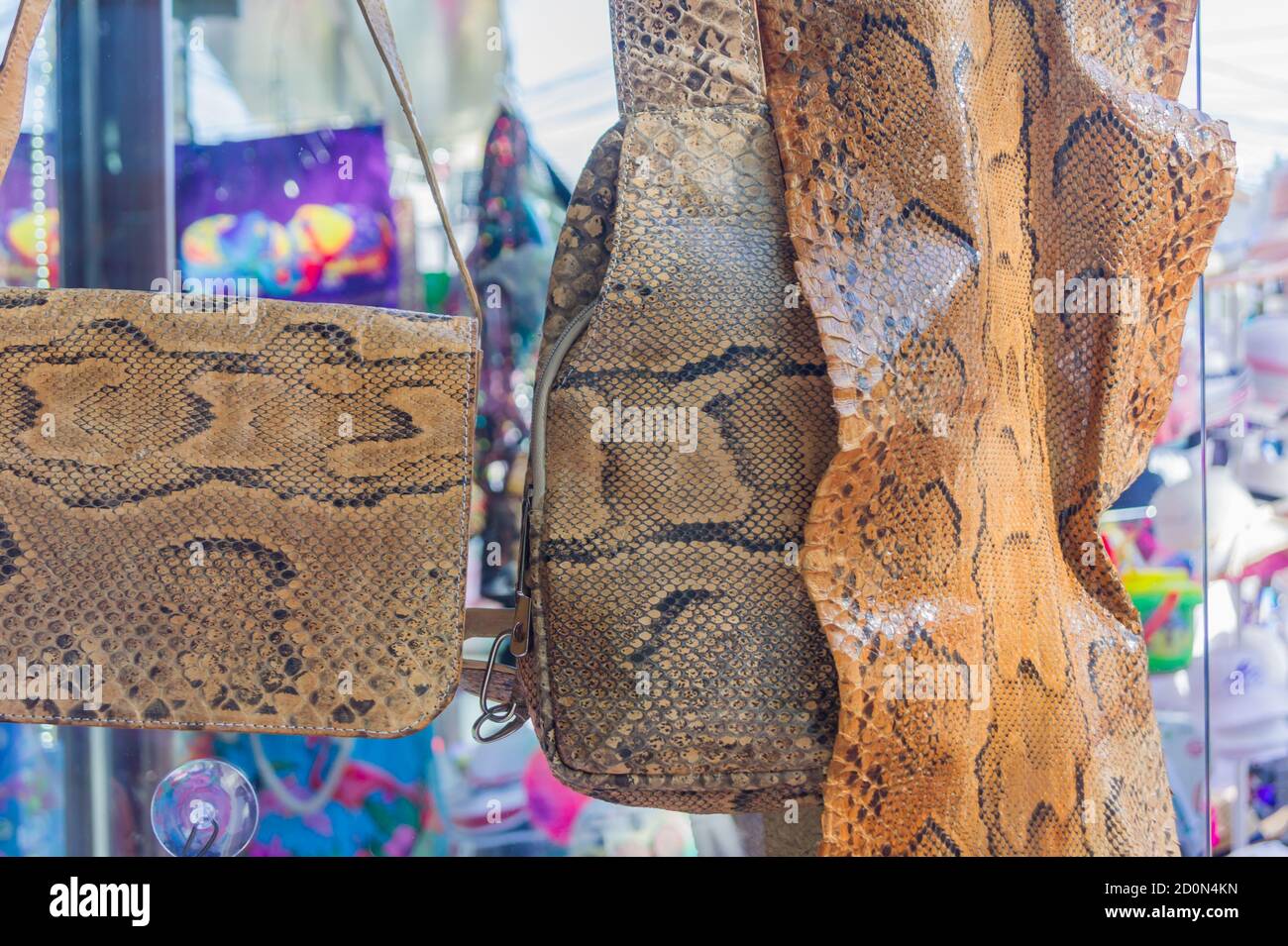 woman bag and backpack made of snake skin Stock Photo - Alamy