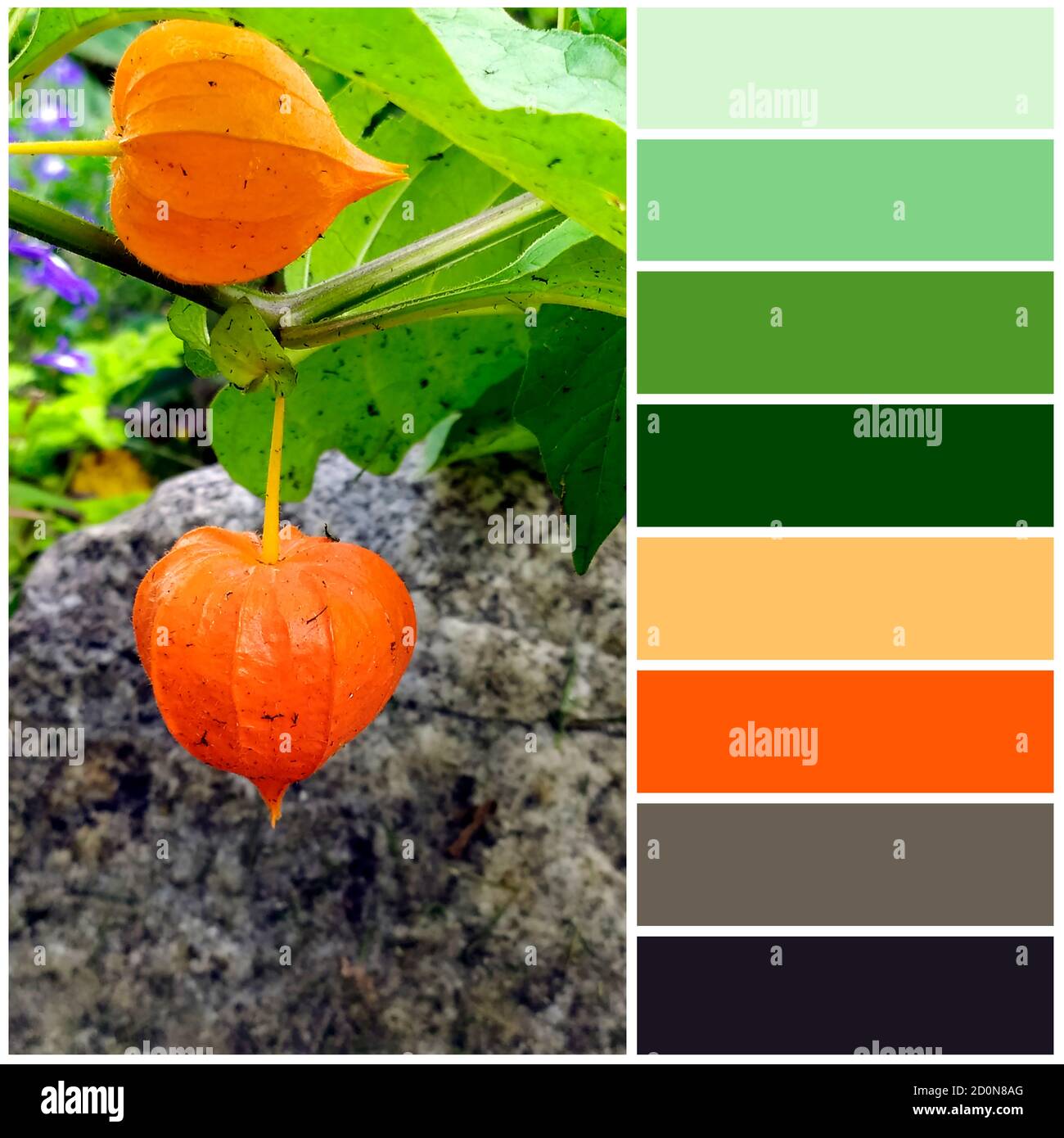 Chart of color hi-res stock photography and images - Alamy