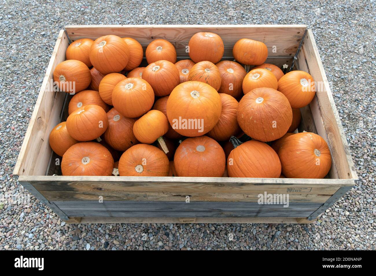 702 kg hi-res stock photography and images - Alamy