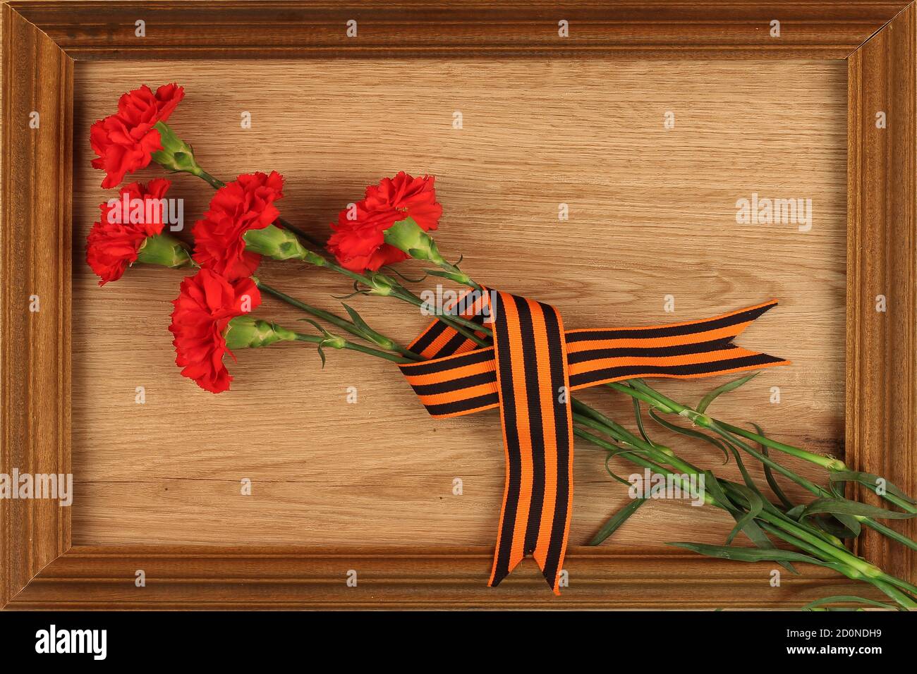 Top view of red carnation with St. Georges ribbon the symbol of Victory ...