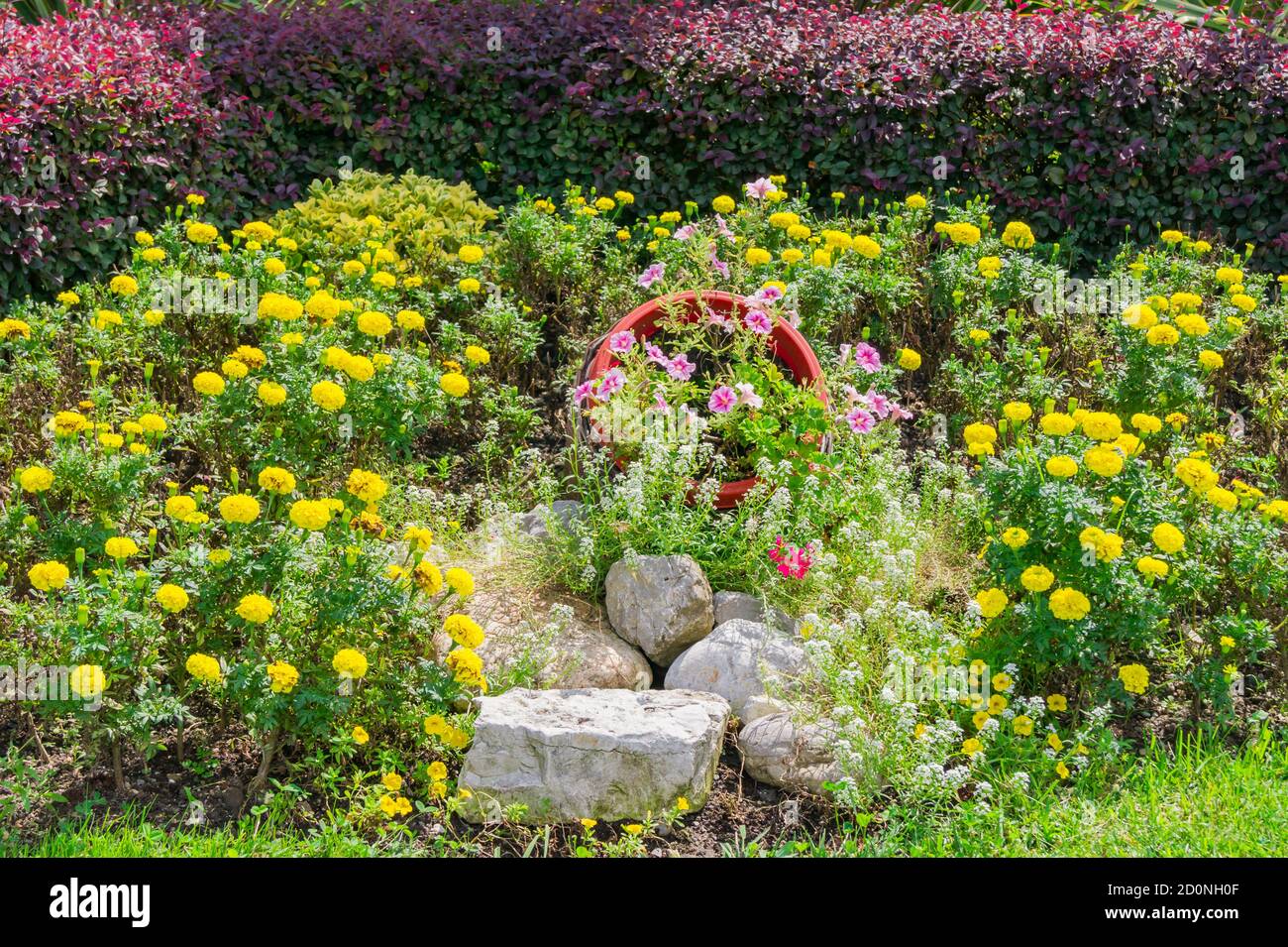 Beautiful flowerbed in a park in a sunny days. Many different flowers ...