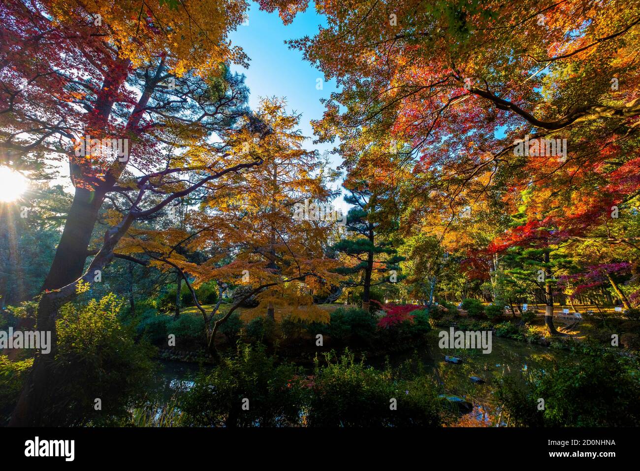 A colourful Japanese pond in Nara park during autumn Stock Photo - Alamy
