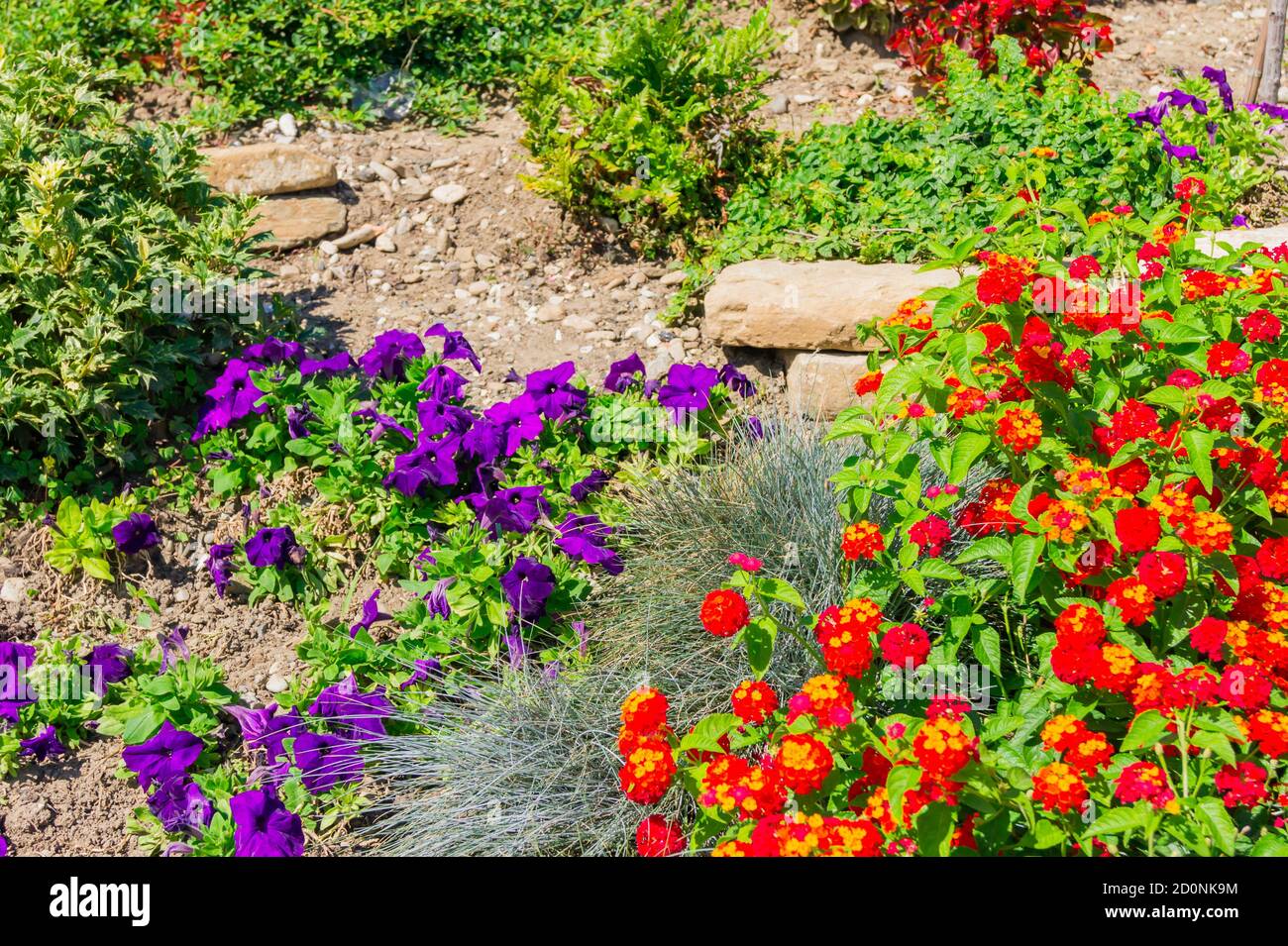 Beautiful flowerbed in a park in a sunny days. Many different flowers ...