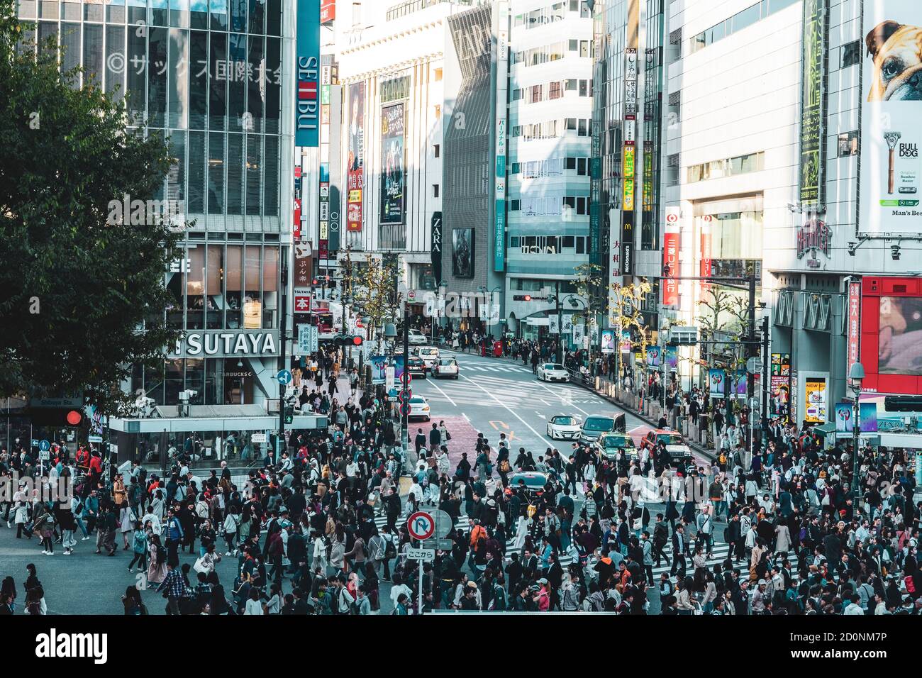 Shibuya crossing in Tokyo Stock Photo - Alamy