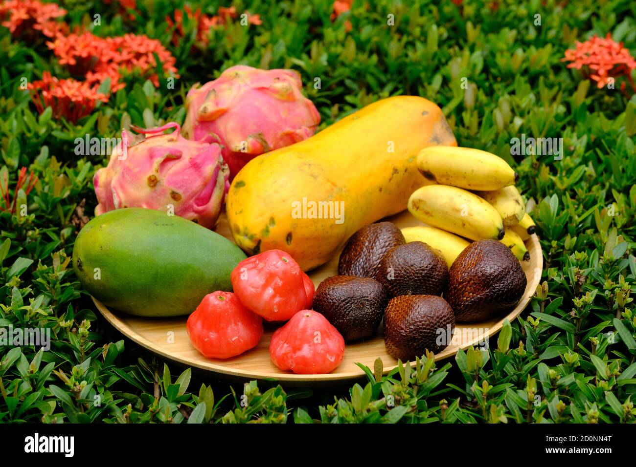 Indonesia Batam - Indonesian tropical fruits Papaya - Plum - Mango ...