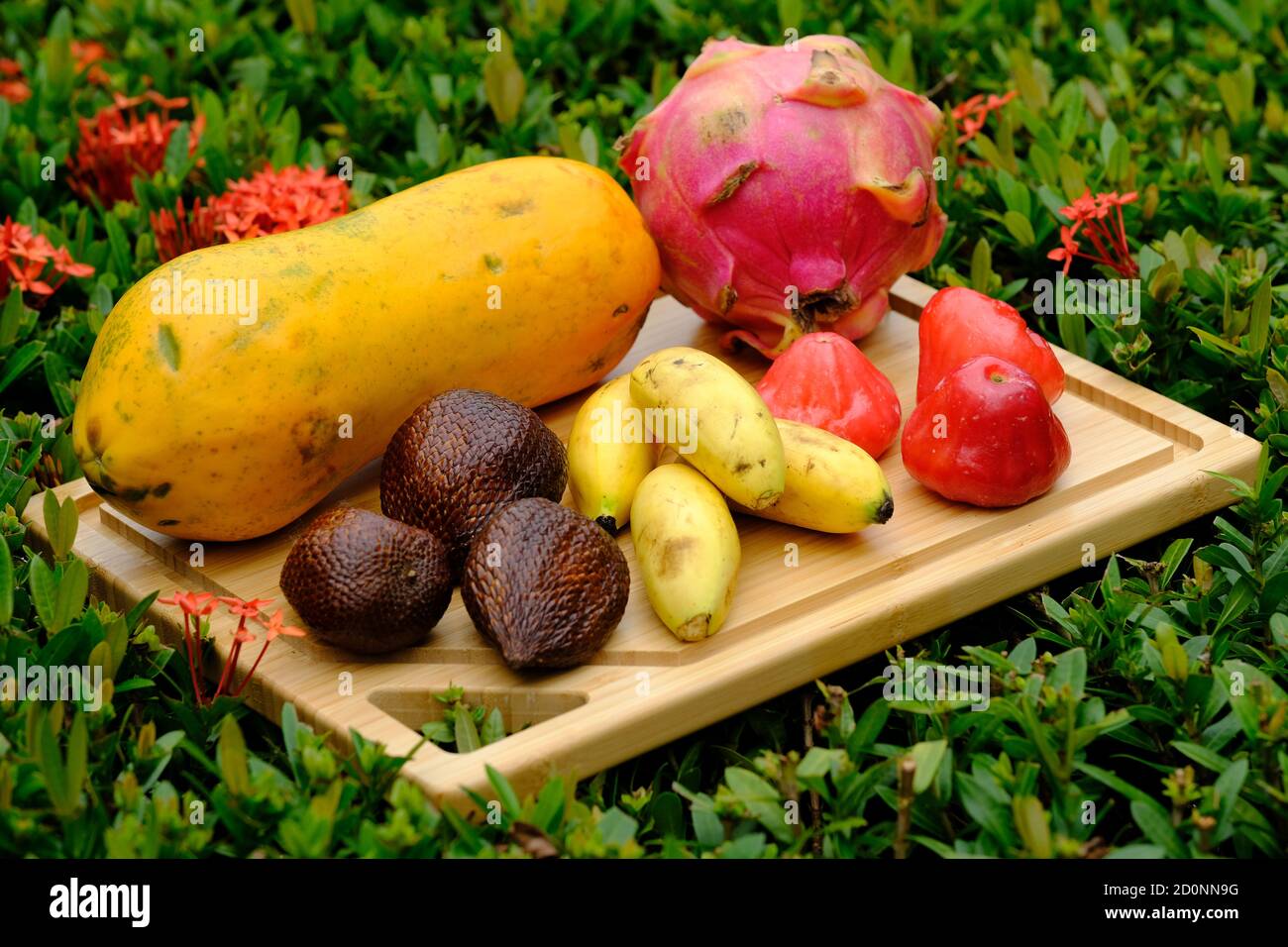 Indonesia Batam - Indonesian tropical fruits Papaya - Plum - Mango ...