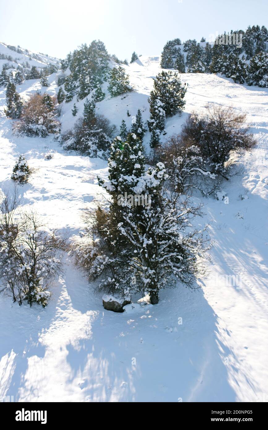 Tian Shan mountain system in Uzbekistan. Winter landscape in the ski ...