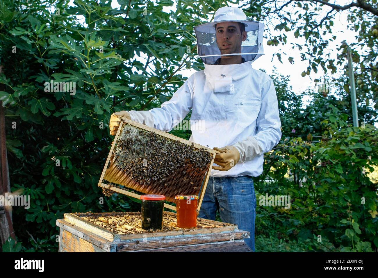 Honeycomb shades hi-res stock photography and images - Alamy