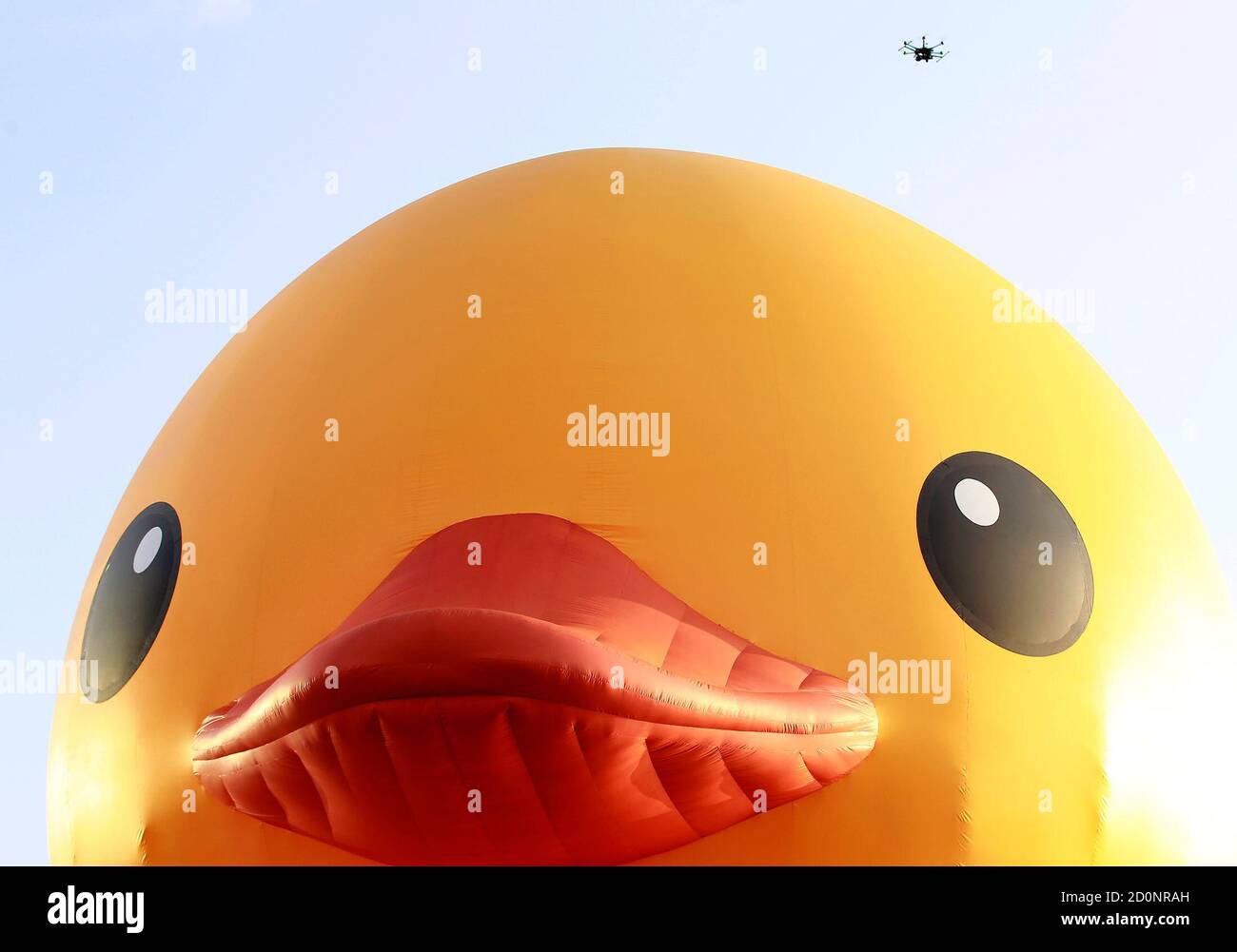 Rubber duck from above hi-res stock photography and images - Alamy