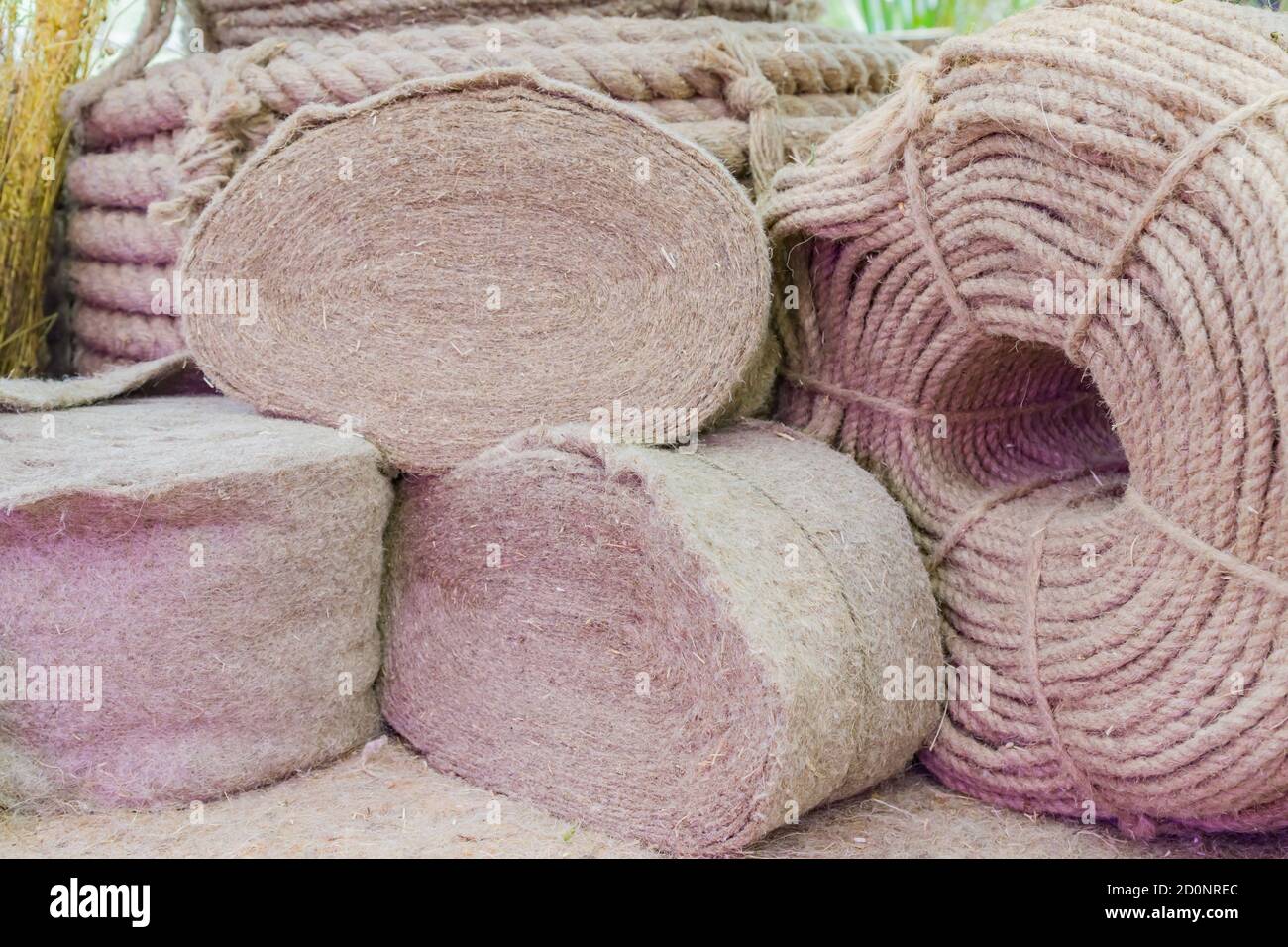 Rope of sisal plant hi-res stock photography and images - Alamy