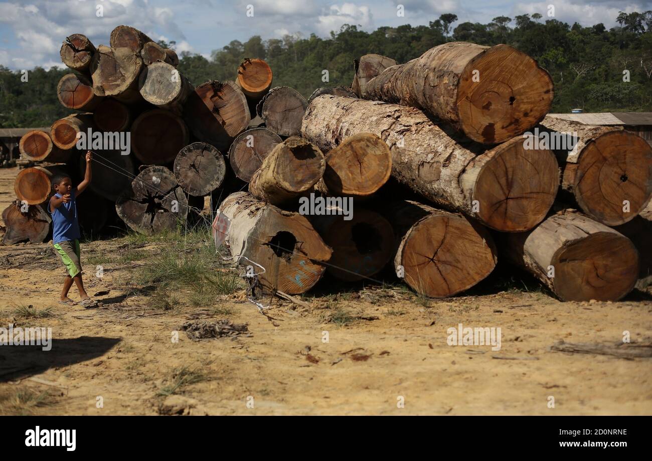 Amazon rainforest deforestation logs hi-res stock photography and ...