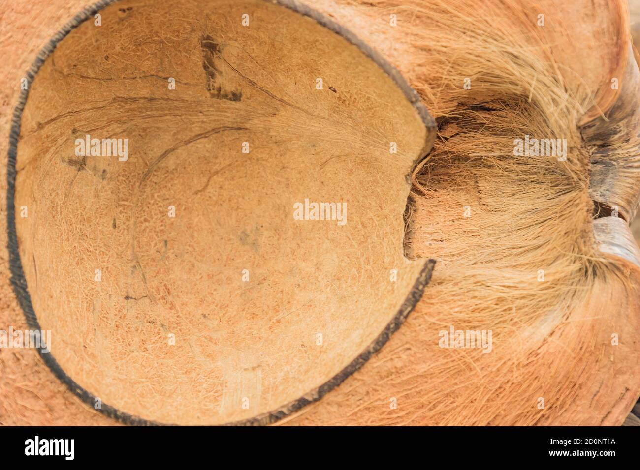 Empty coconut shell hi-res stock photography and images - Alamy