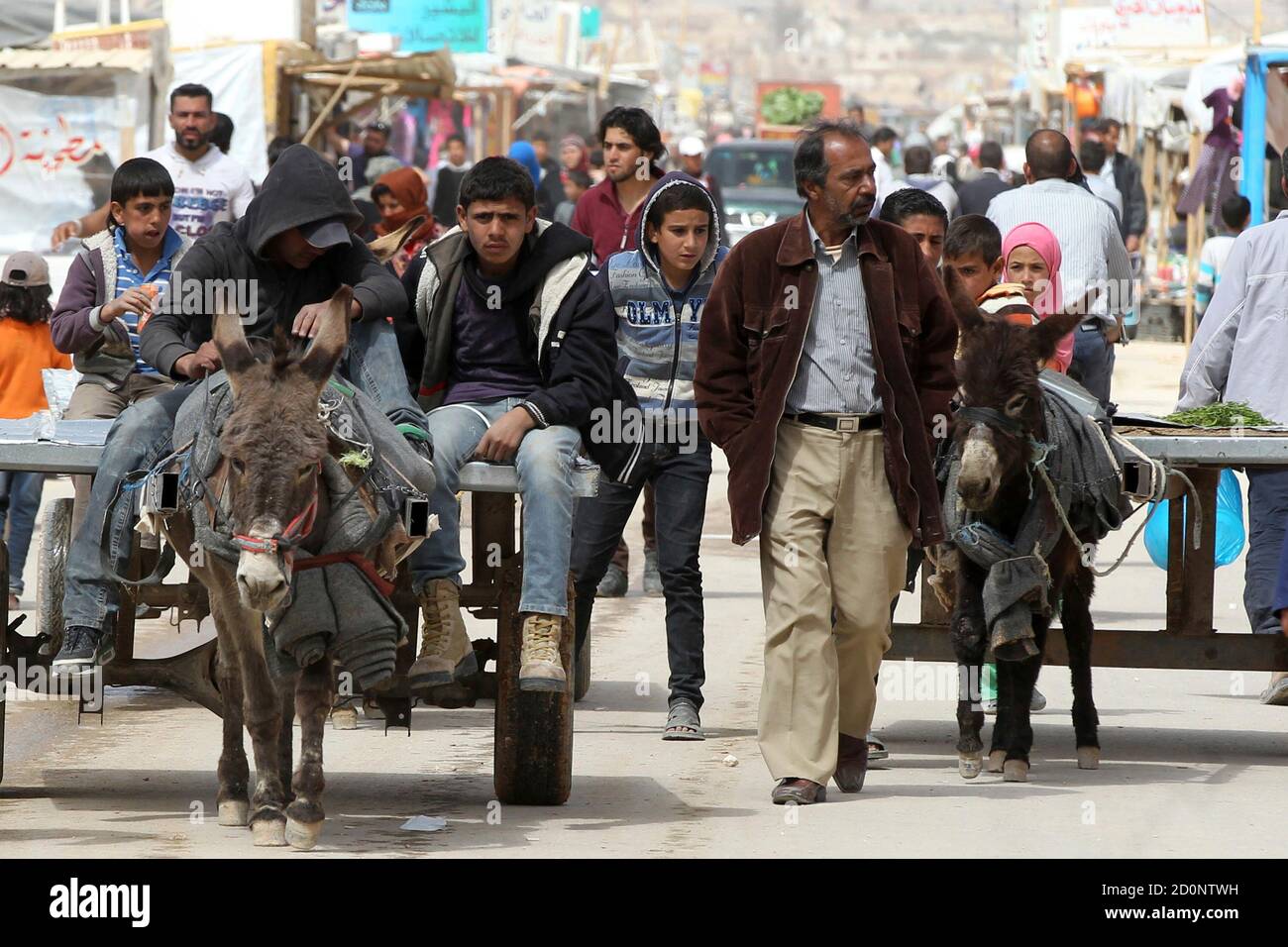 Syria donkey animal hi-res stock photography and images - Alamy