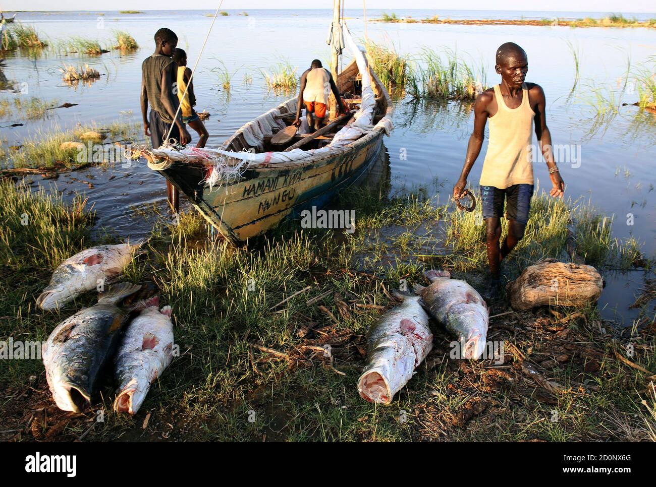Lake turkana fish fishing hi-res stock photography and images - Alamy