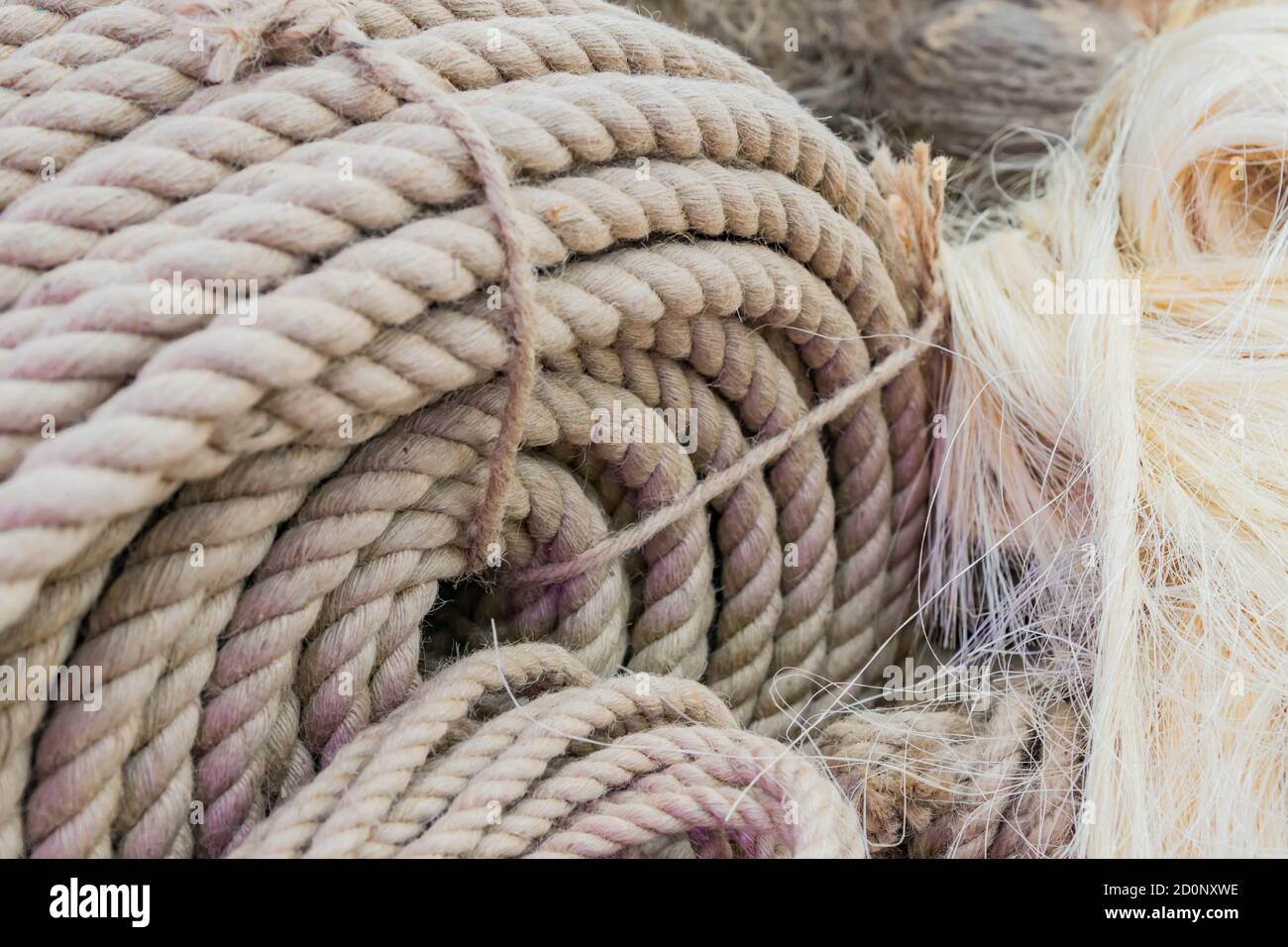 Rope of sisal plant hi-res stock photography and images - Alamy