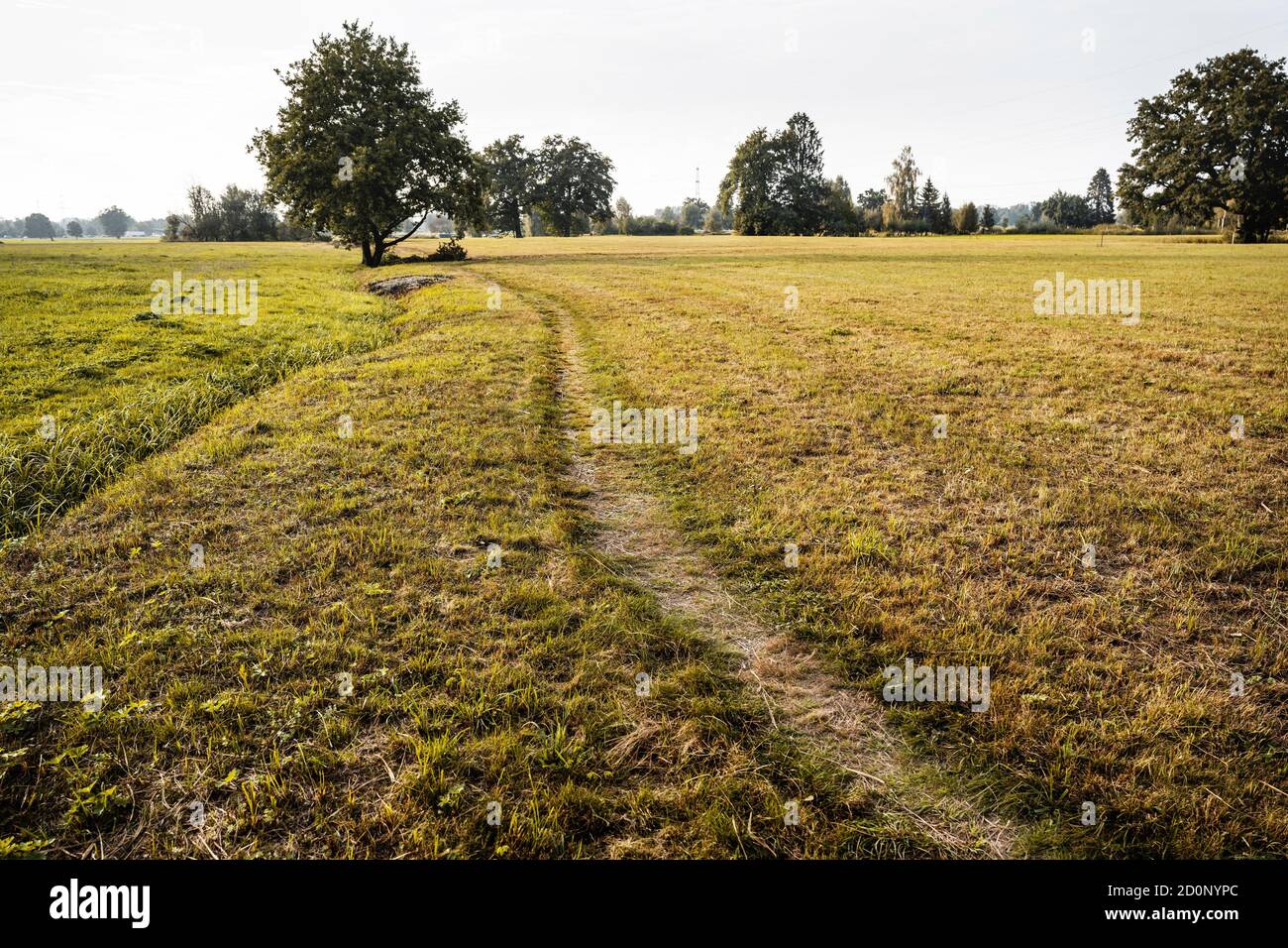 Mountain meadow pathway trees hi-res stock photography and images - Alamy