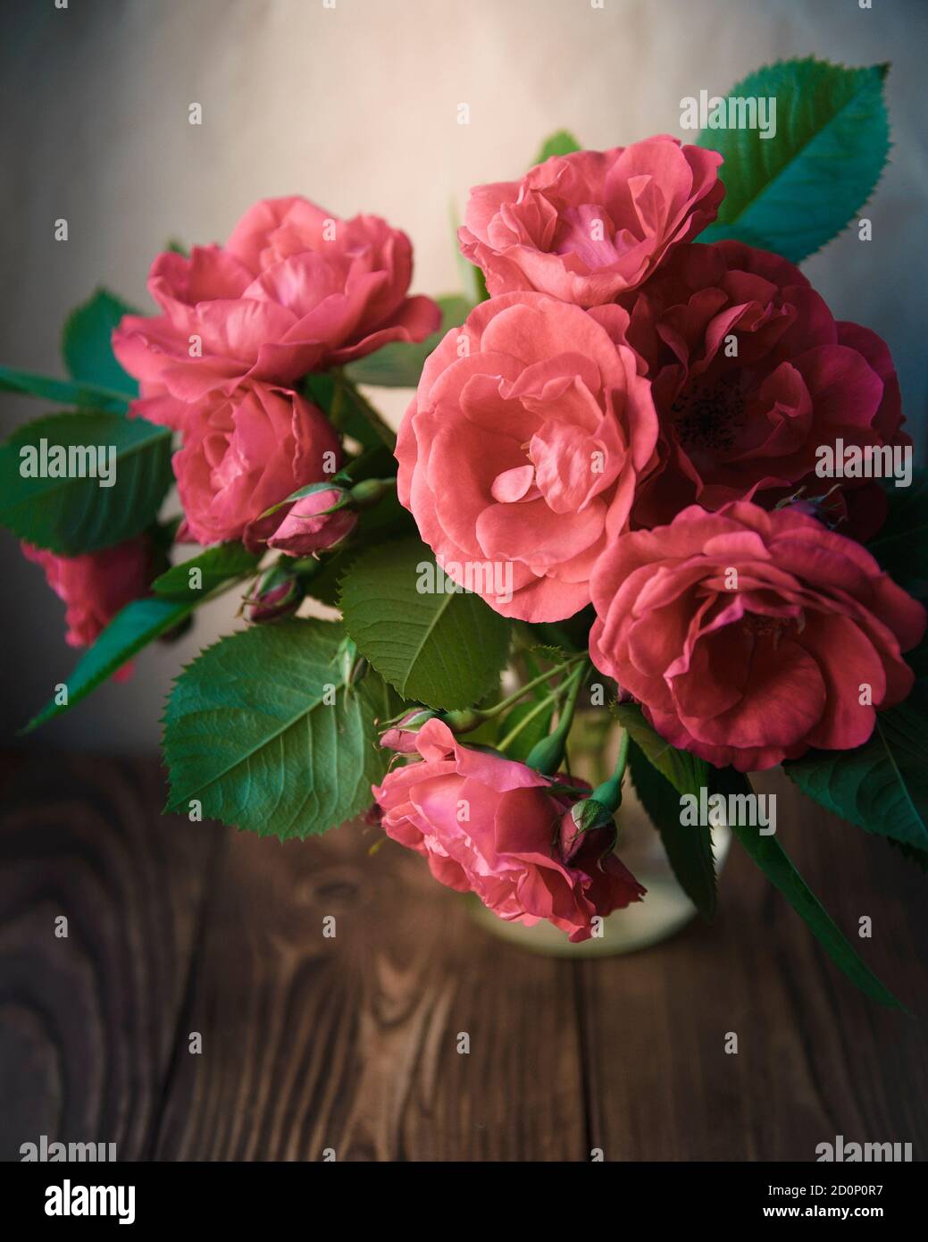 Old cut red roses hi-res stock photography and images - Alamy
