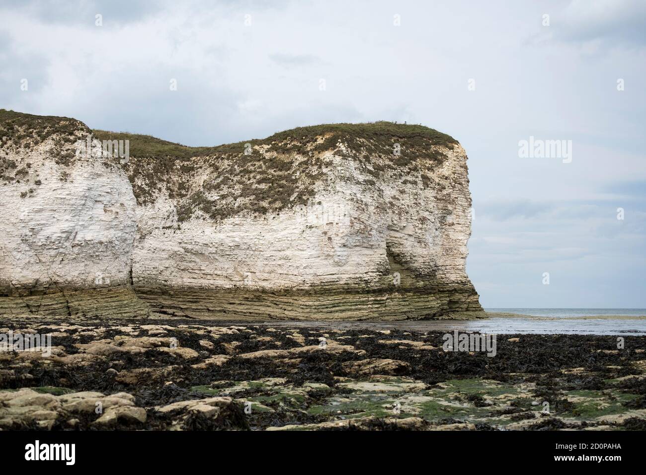 Limestone cliffs flamborough head hi-res stock photography and images ...