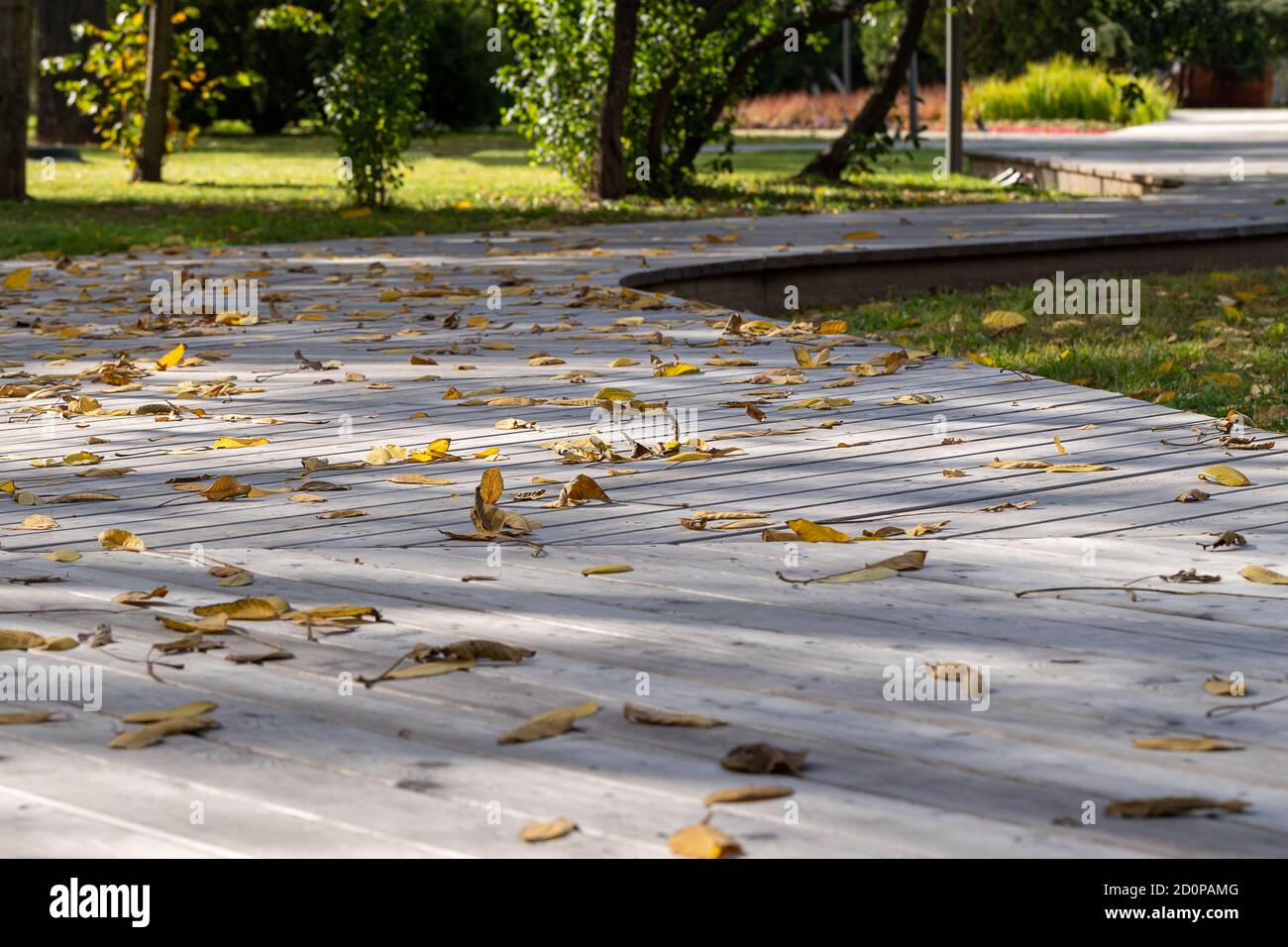 Plank wood pathway hi-res stock photography and images - Alamy